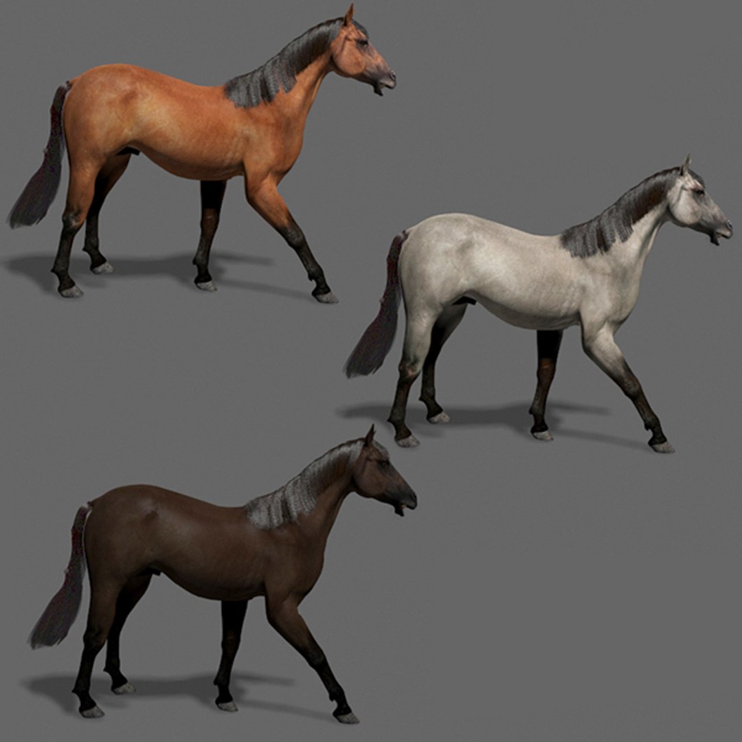 Maya Horse Animations Tail