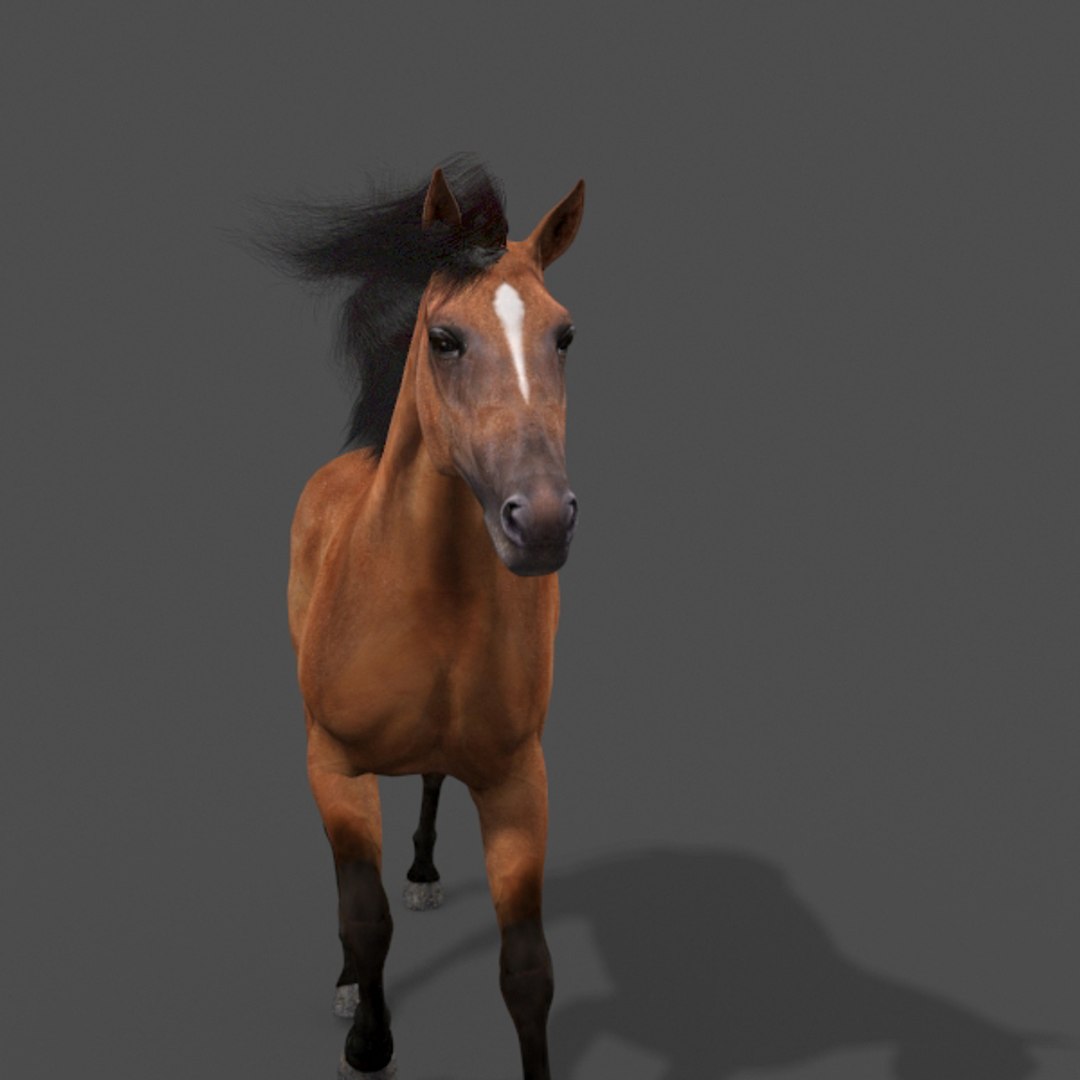 maya horse animations tail