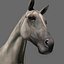 Maya Horse Animations Tail