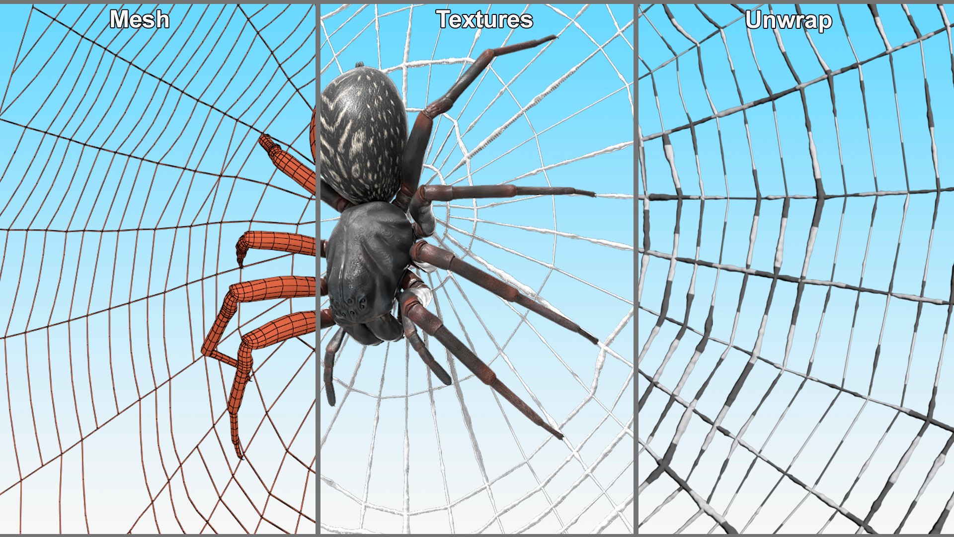 3D Model Round Web With Spider - TurboSquid 2213148