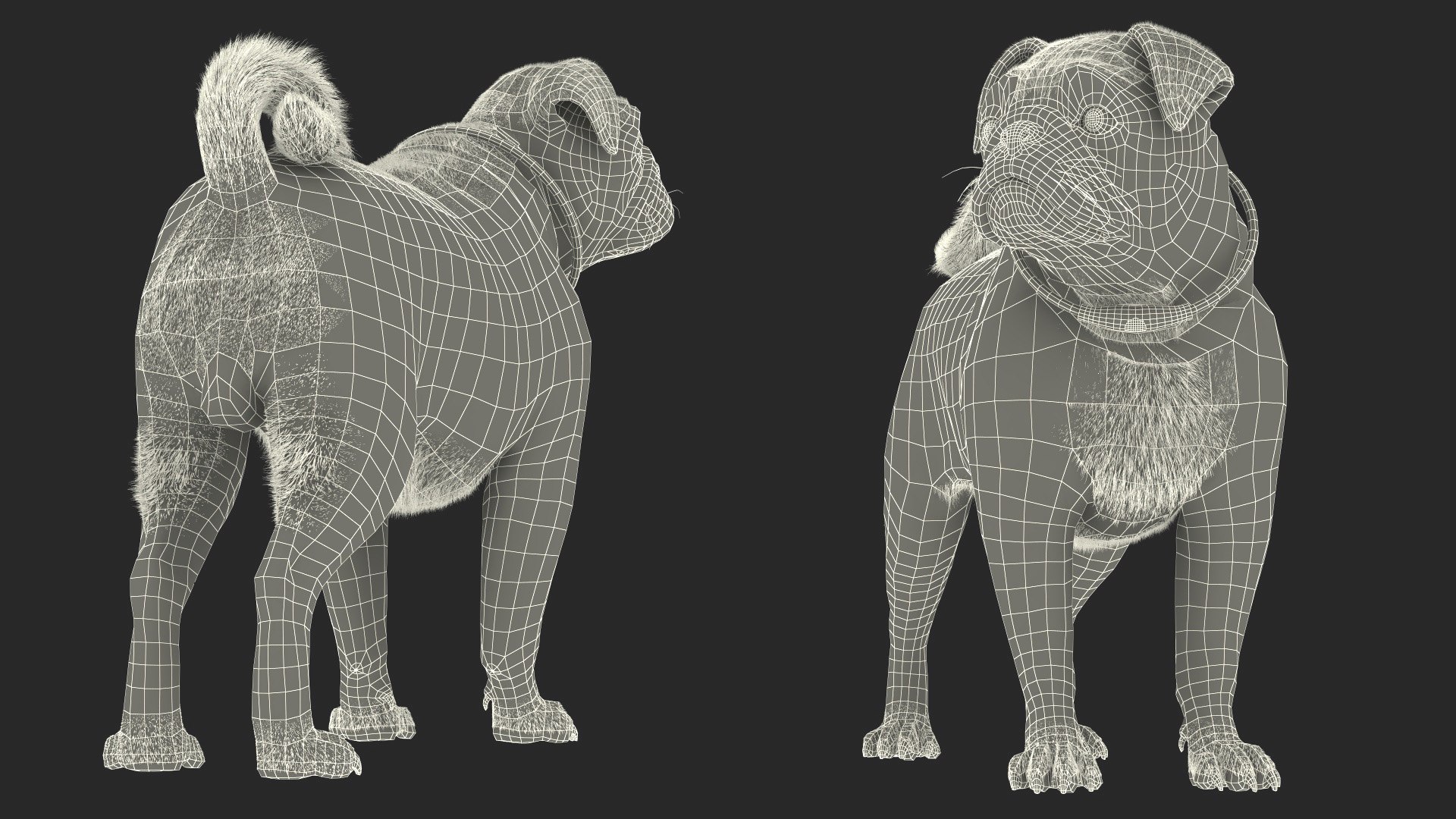 3D Pug Dog Wearing LED Collar Fur For Maya - TurboSquid 2387395