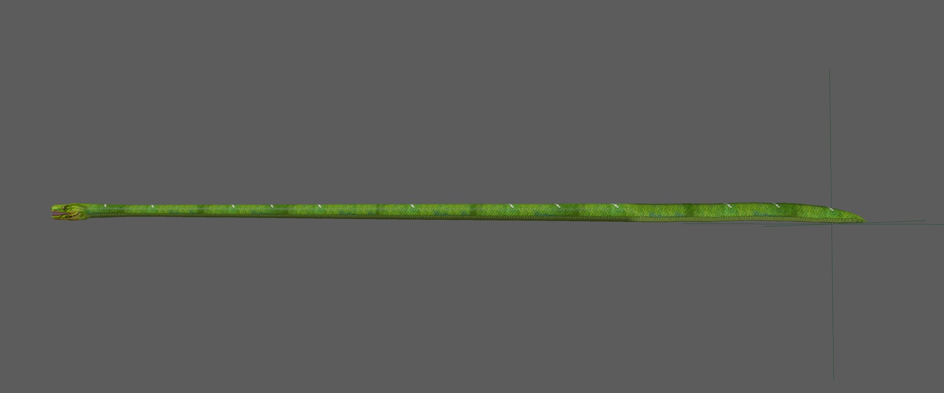 Green Snake Rig 3D Model - TurboSquid 2250823