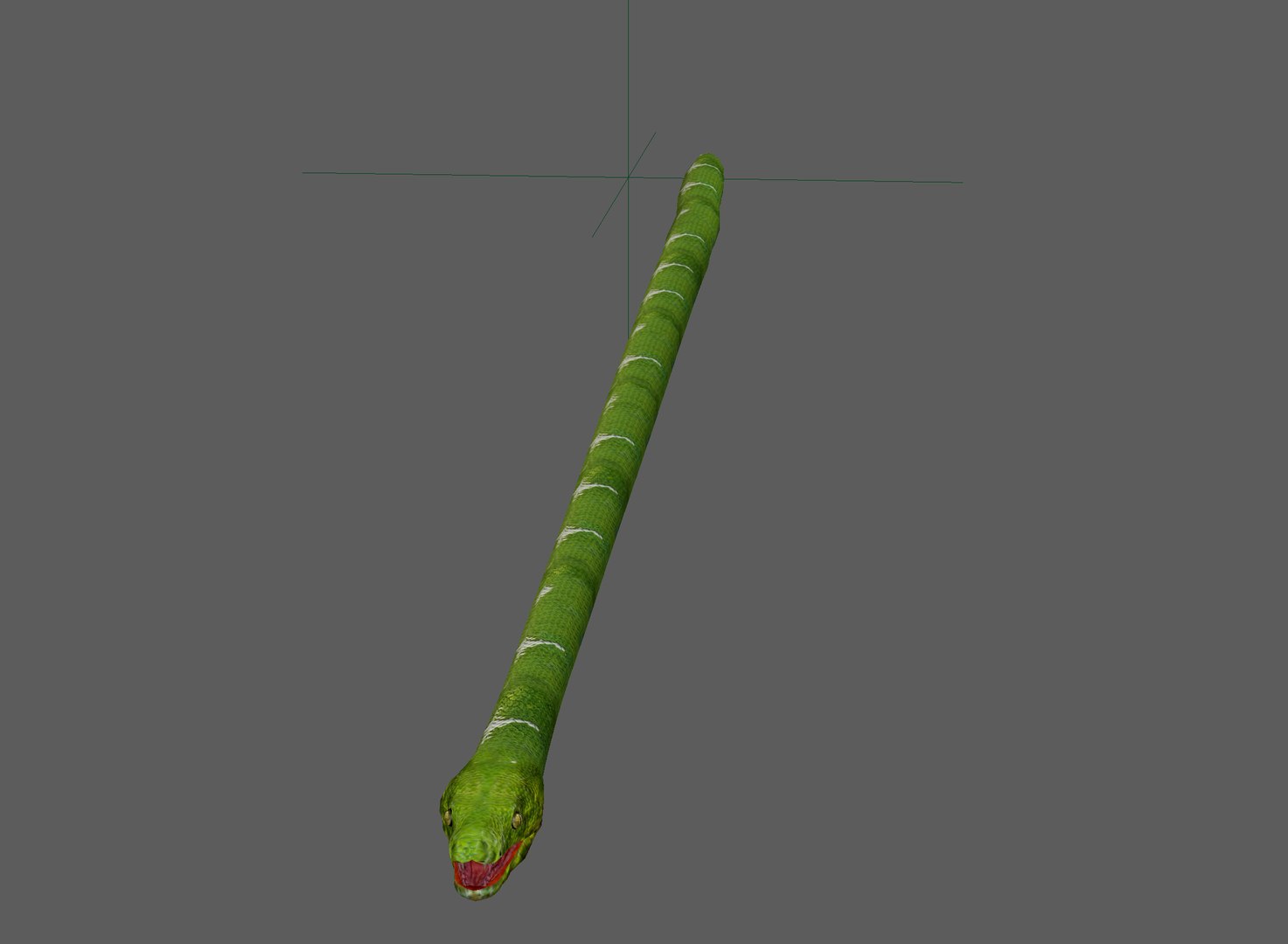 Green Snake Rig 3D Model - TurboSquid 2250823