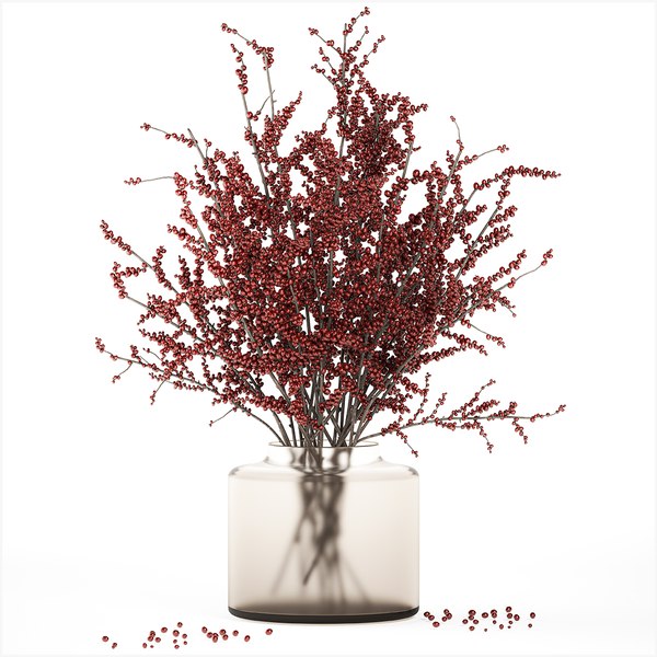 modelo 3d Ramo de ramas con frutos rojos encina florero Acebo 347 ...