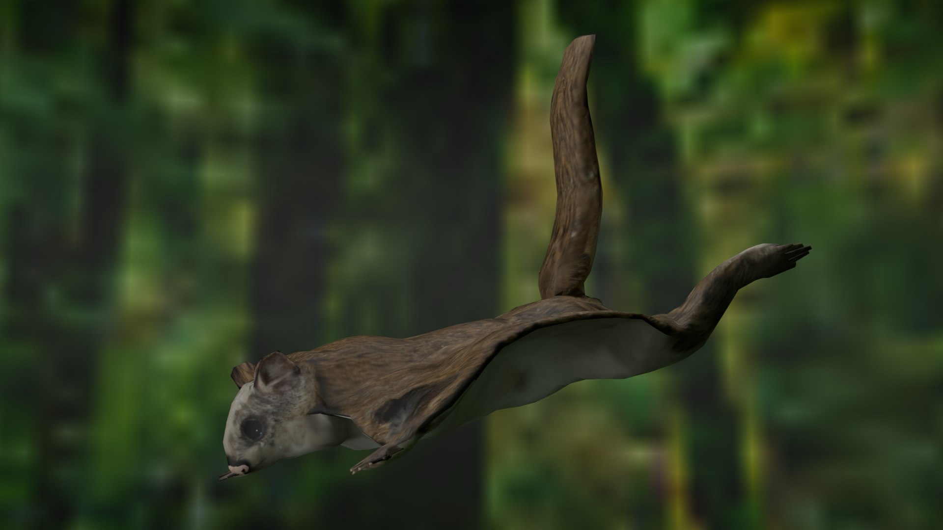 Flying Squirrel Low Poly 3D - TurboSquid 2189018