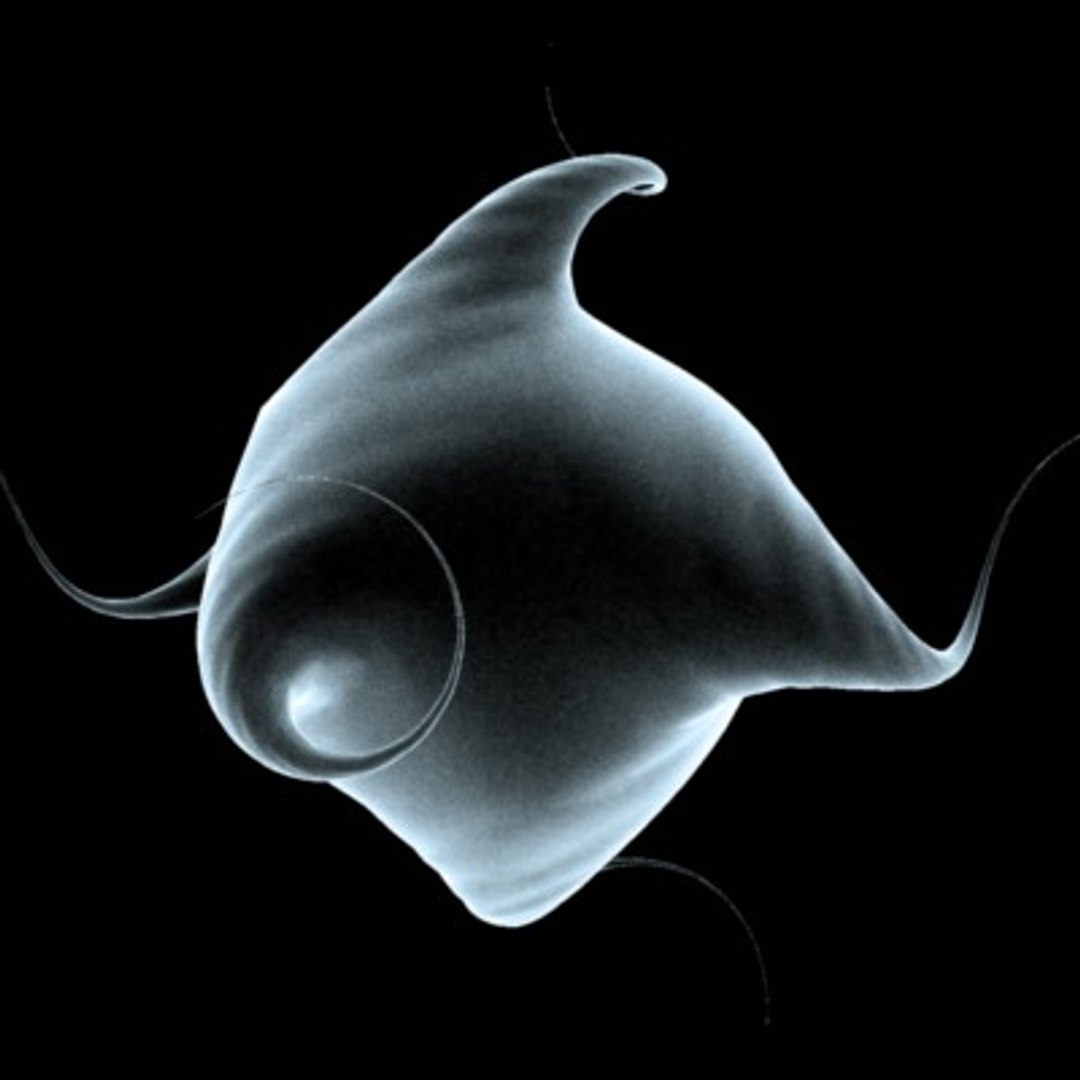 Microscopic Nano Cell 1 Max