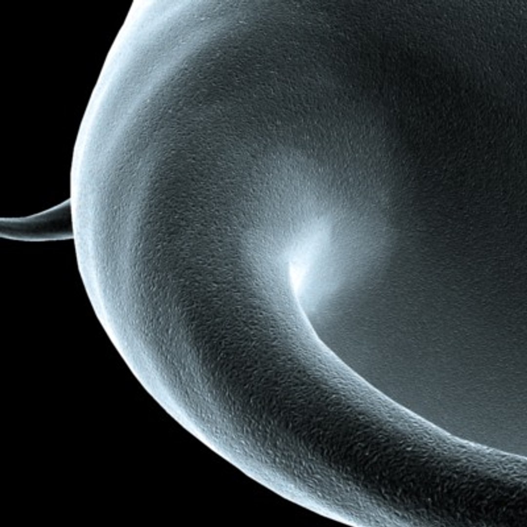 Microscopic Nano Cell 1 Max