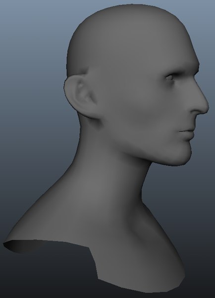 3d head base model