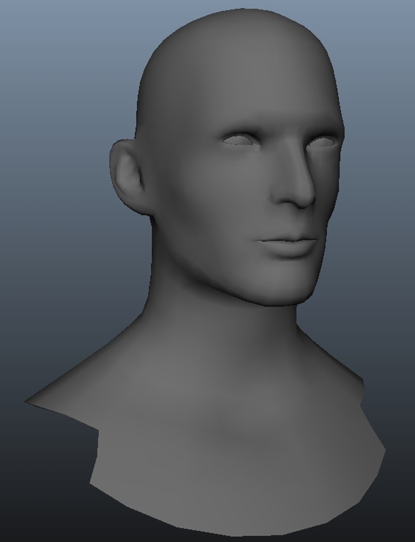 3d head base model