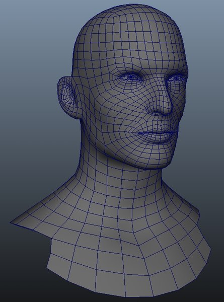 3d head base model
