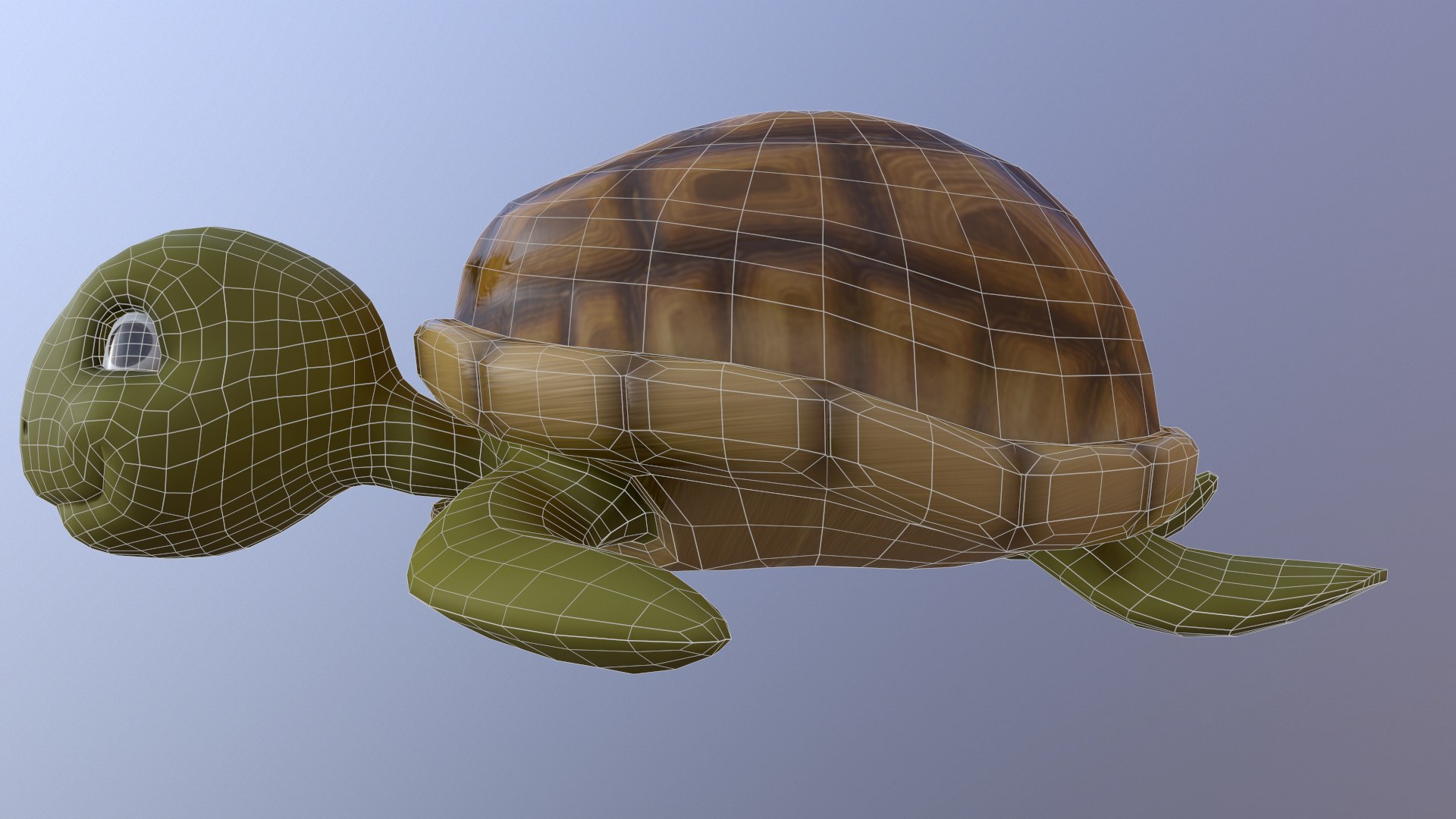 Sea Turtle 3D Model - TurboSquid 1375223