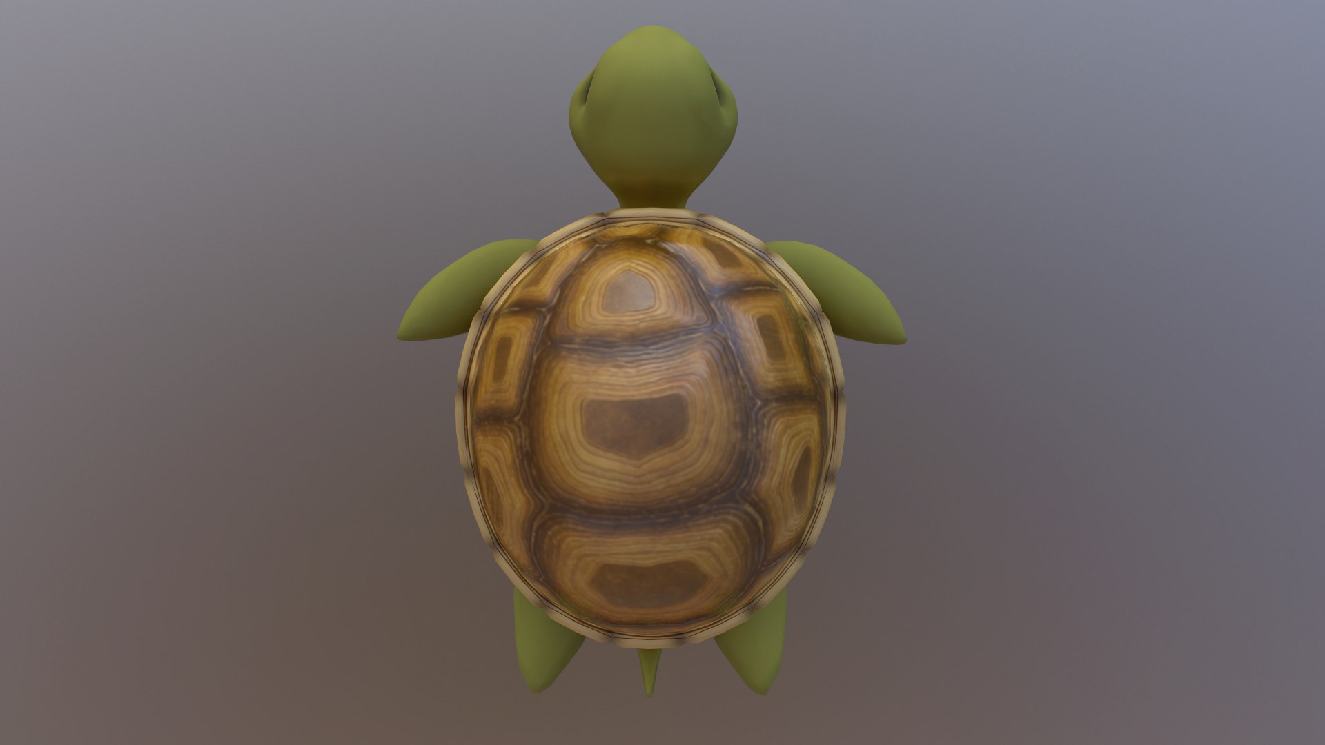 Sea Turtle 3D Model - TurboSquid 1375223