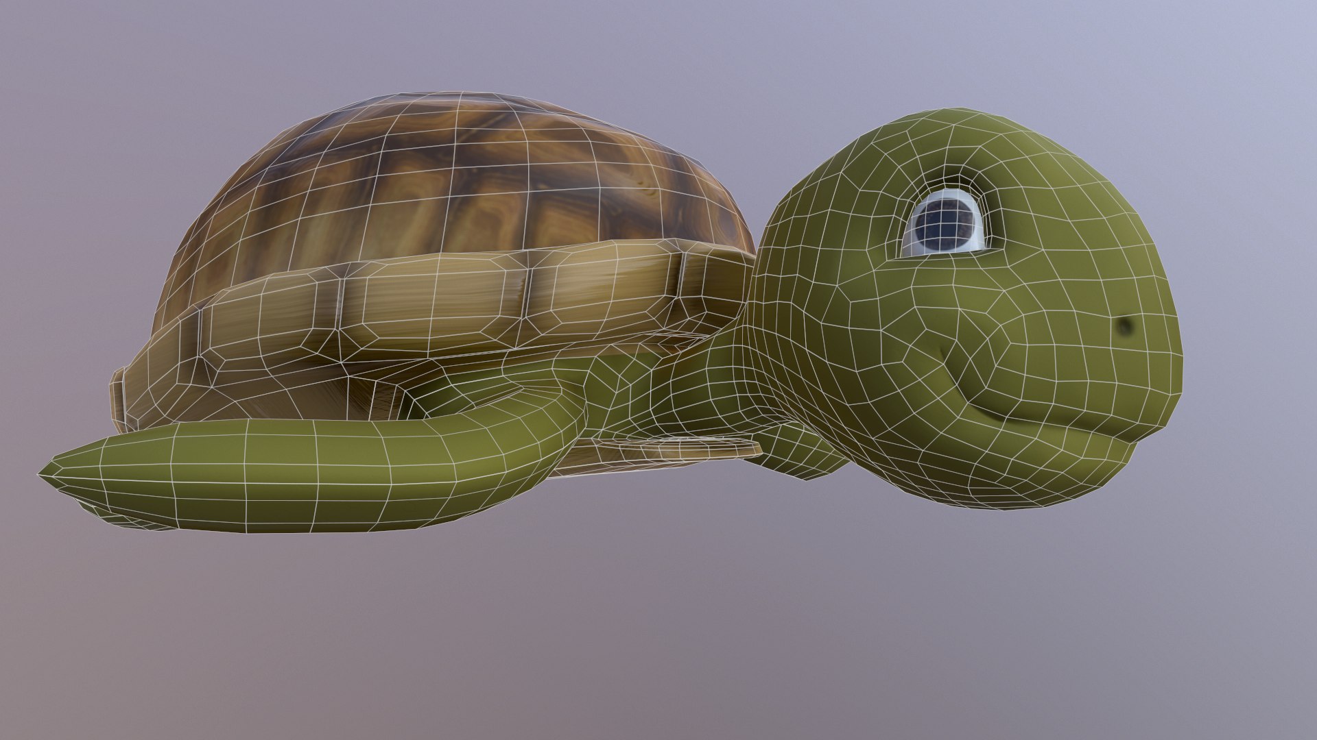 Sea Turtle 3D Model - TurboSquid 1375223