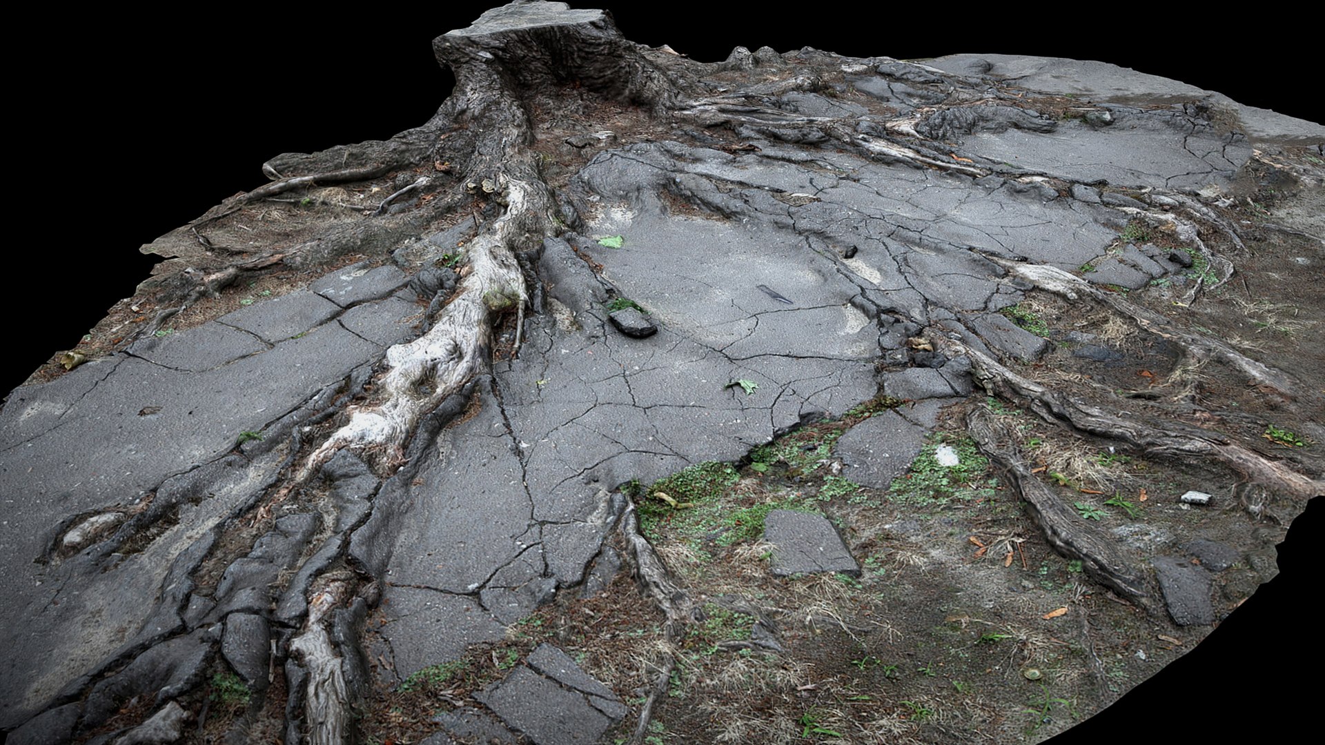 3D Asphalt Damaged Road Tree Roots Part11 Photogrammetry - TurboSquid ...