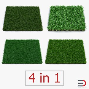3d grass fields 2 model