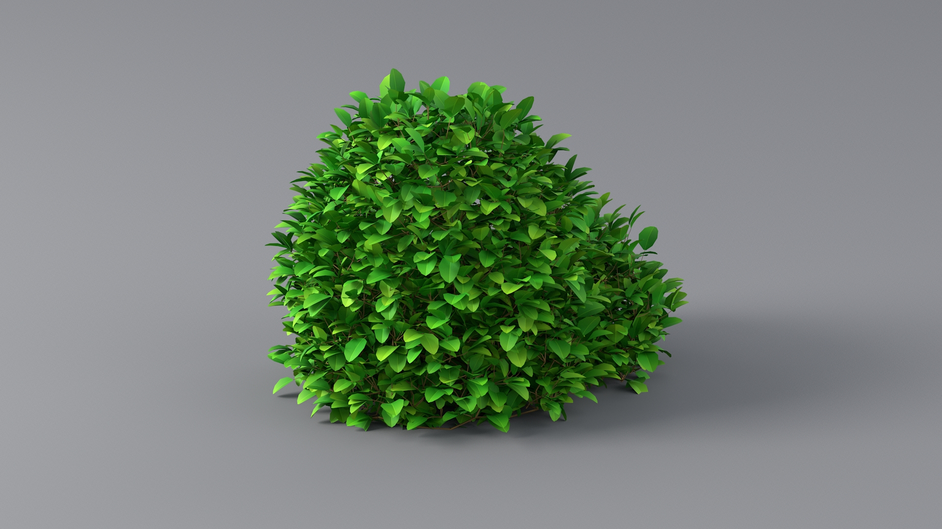 Cartoon Bush 3d