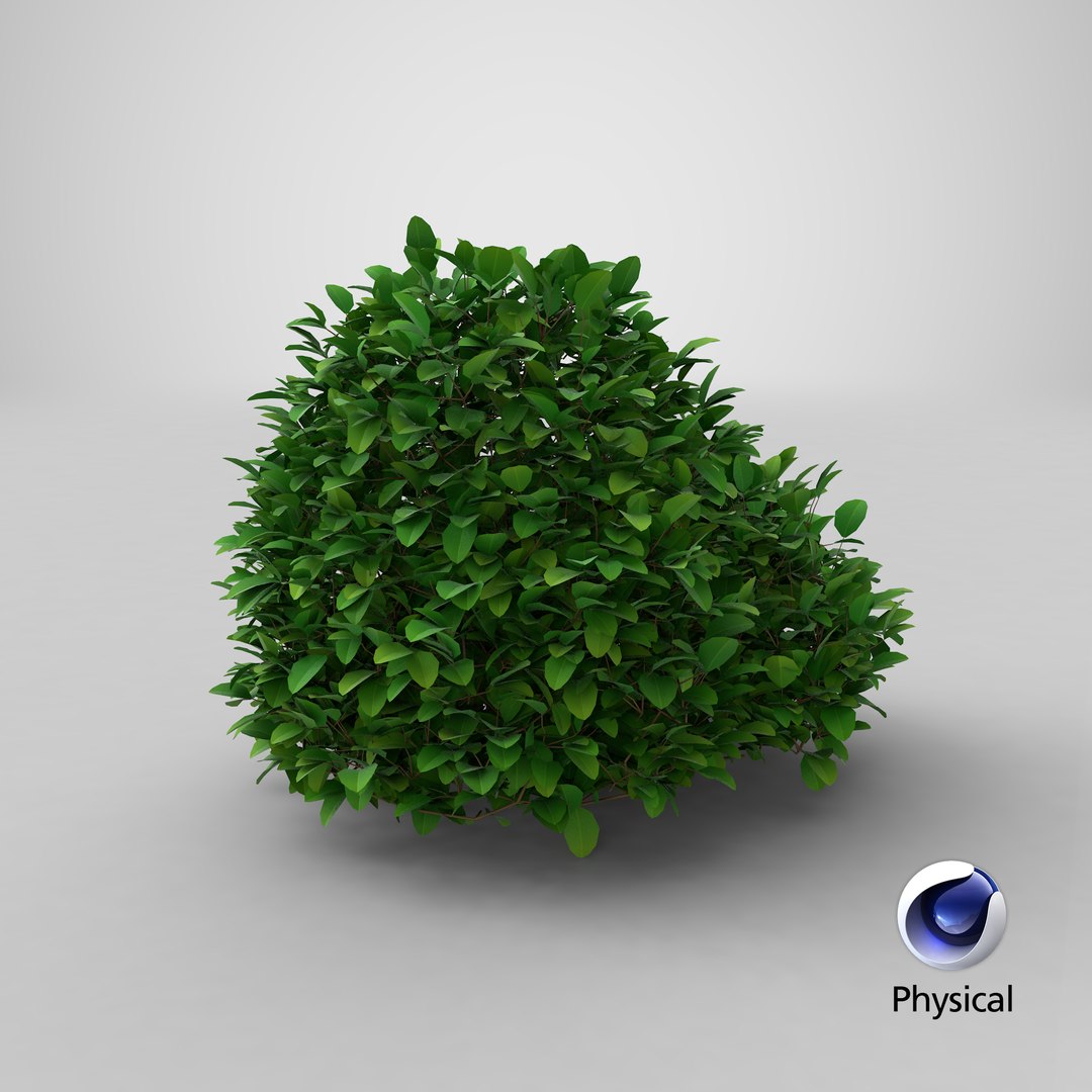 Cartoon Bush 16 3D - TurboSquid 1941442