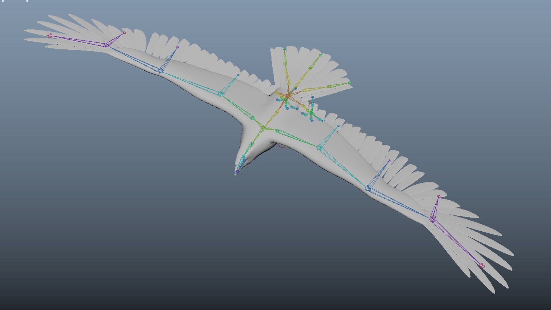 Falcon bird 3D model - TurboSquid 1618677