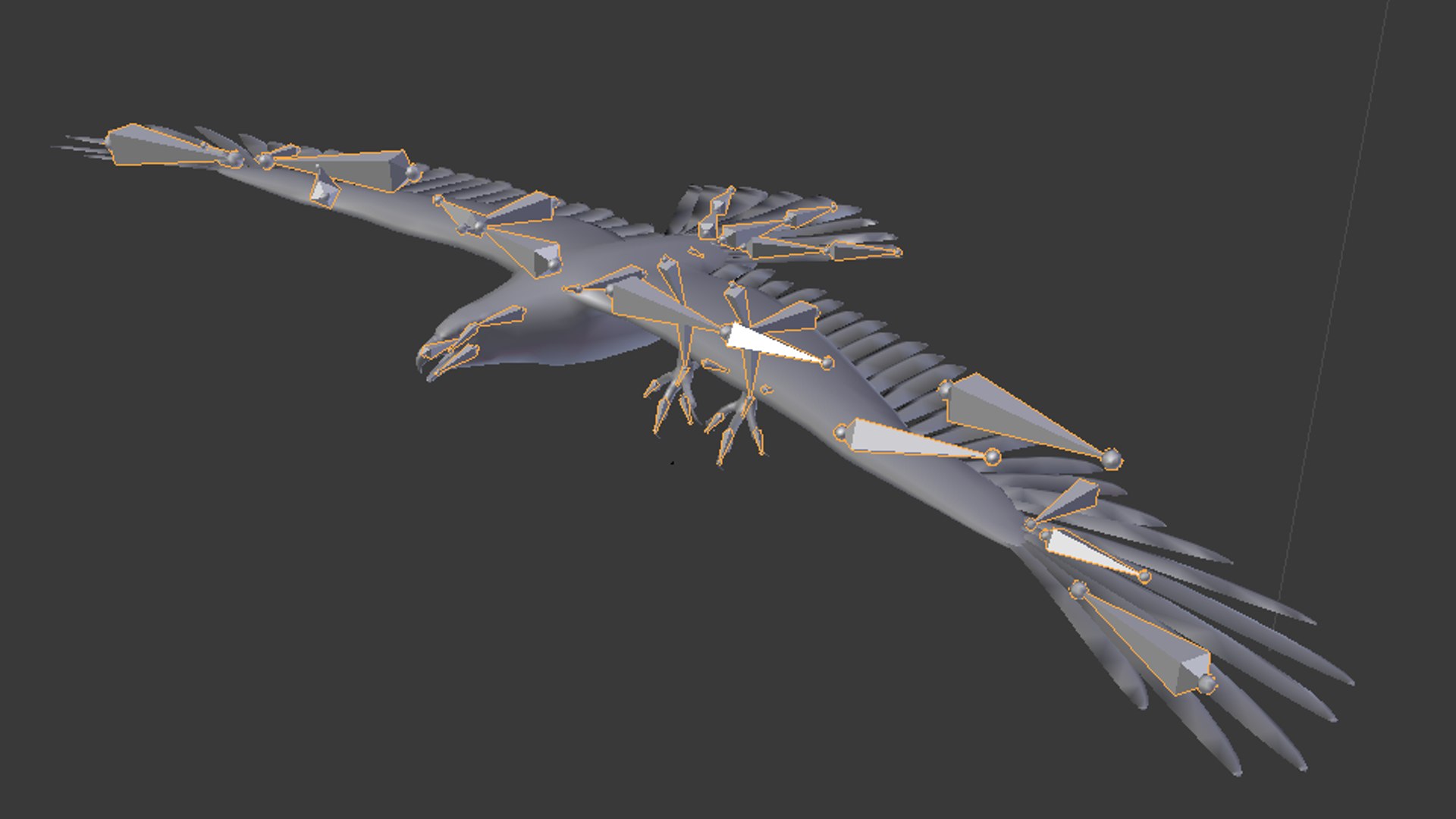 Falcon bird 3D model - TurboSquid 1618677