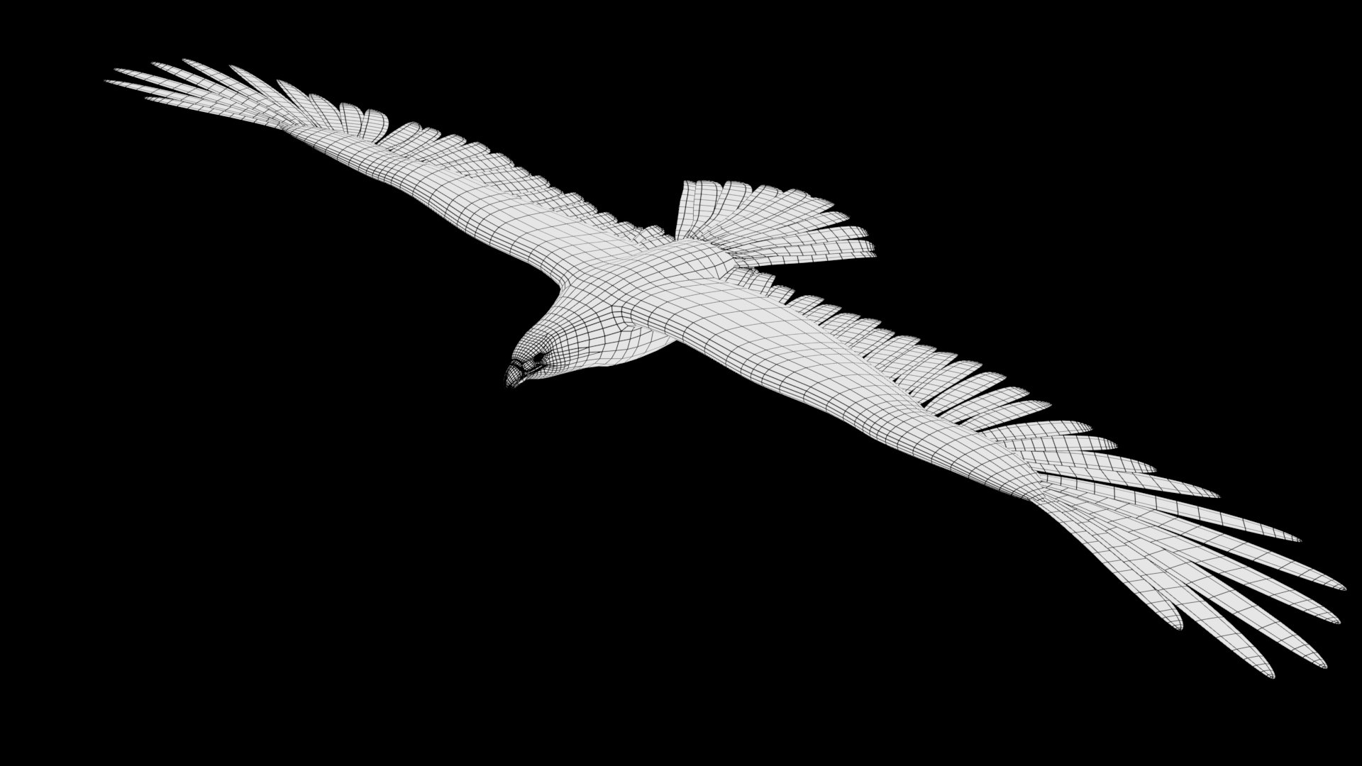 Falcon bird 3D model - TurboSquid 1618677