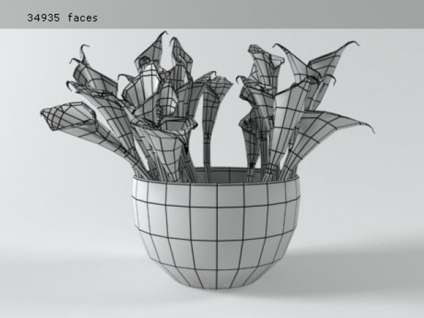 3D Calla Lily Model - TurboSquid 1177138