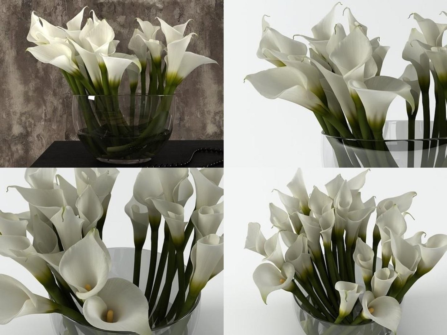 3D Calla Lily Model - TurboSquid 1177138