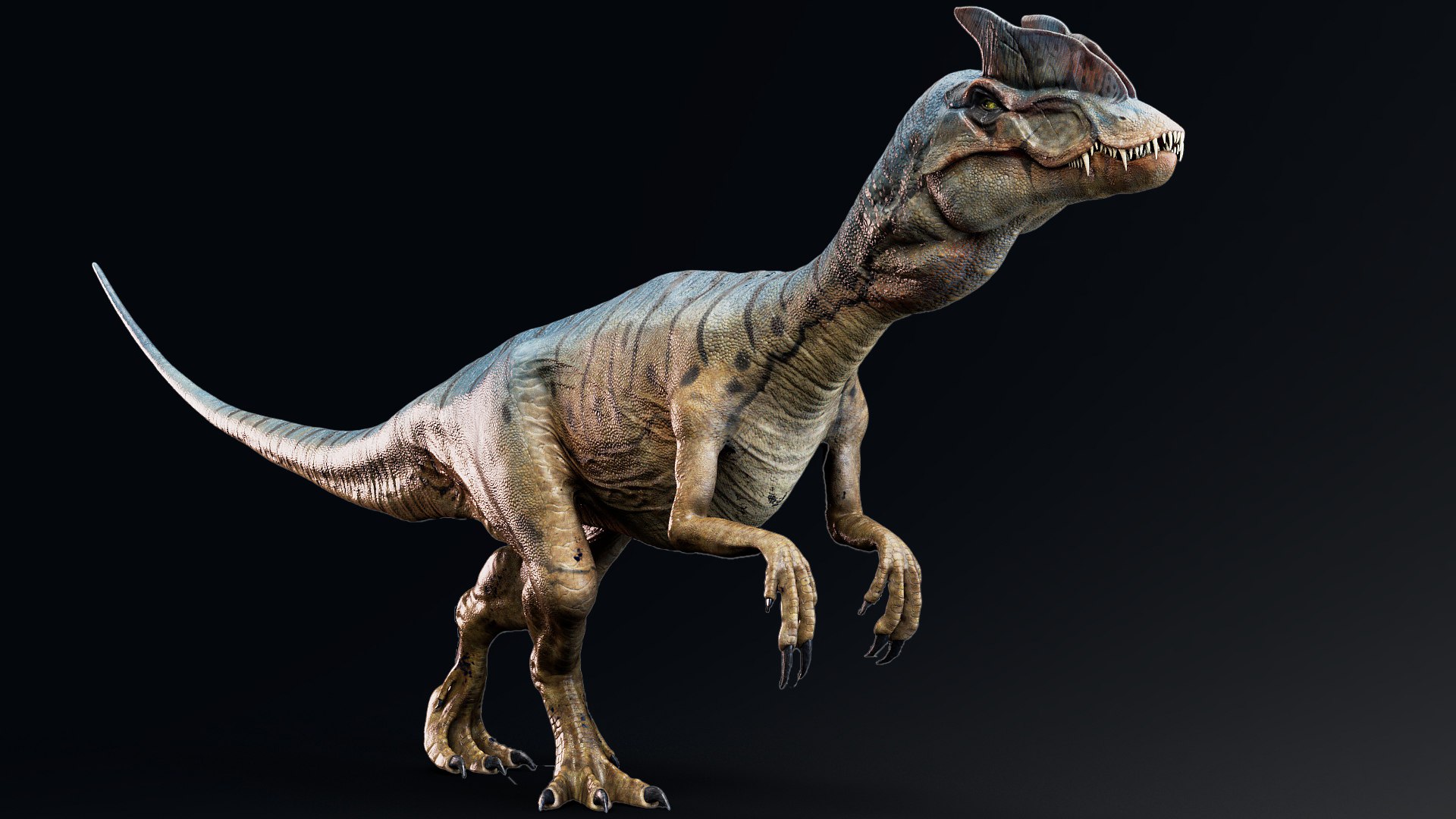 3D Dinosaur - Hybrid Dilophosaurus Unity Project Model - TurboSquid 2263484