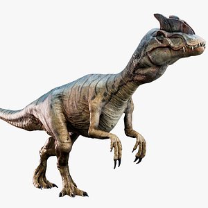 Free Animated 3D Unity Models | TurboSquid