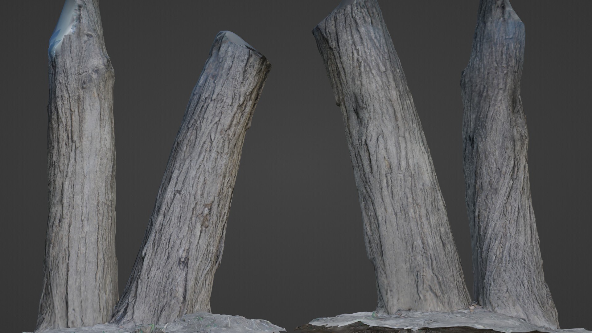 Tree Two Stems 3D - TurboSquid 2332126