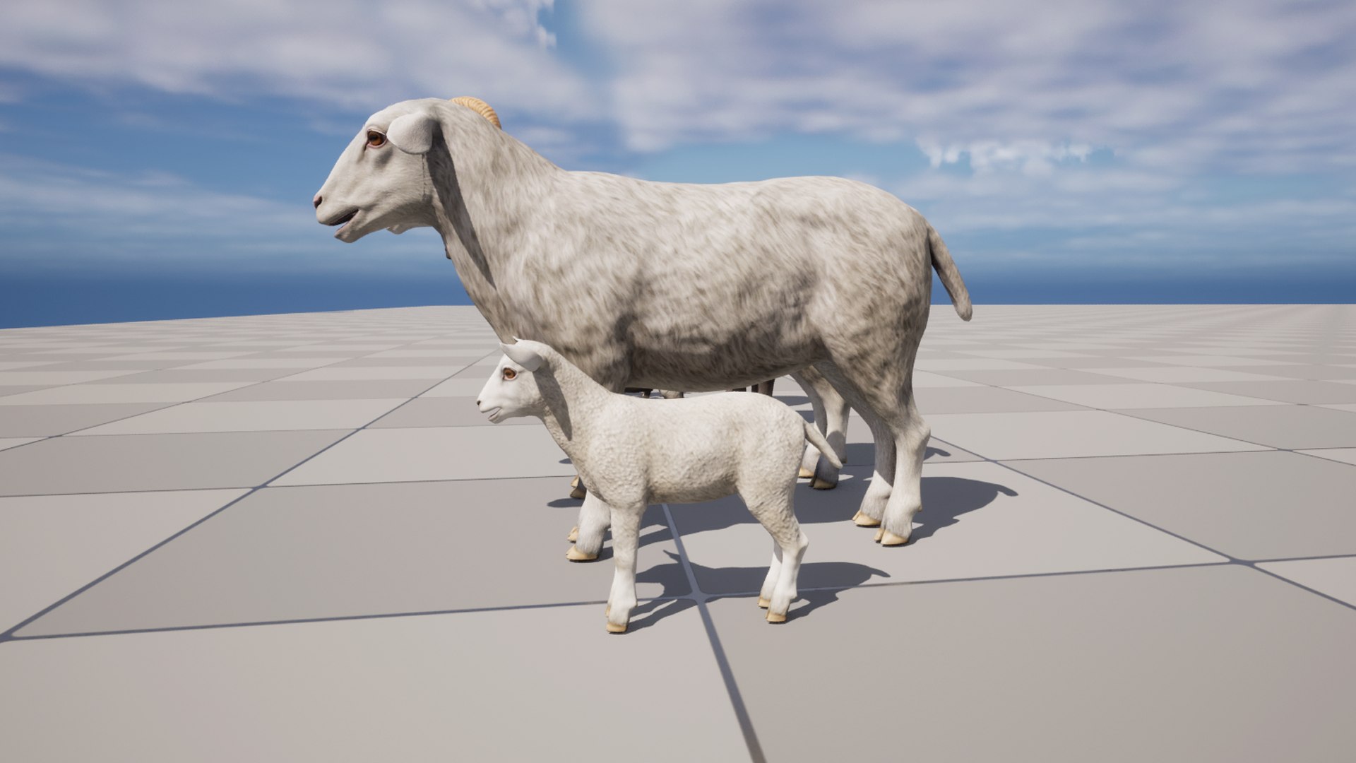 Sheep Family Model - TurboSquid 2361571