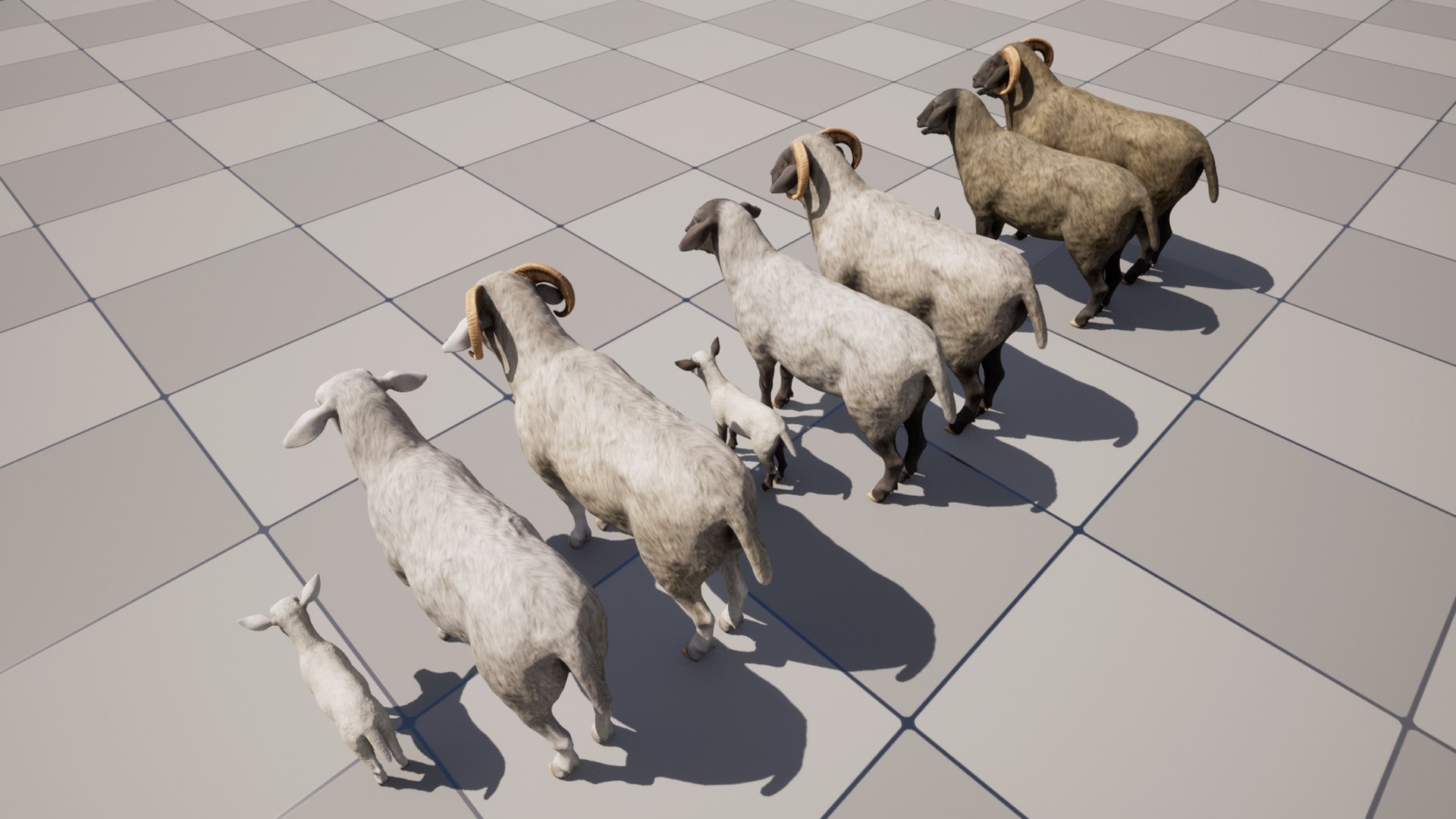 Sheep Family Model - TurboSquid 2361571