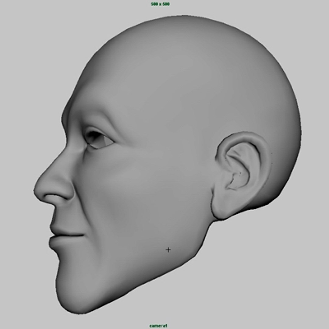 Clown Head Rigged 3d Model