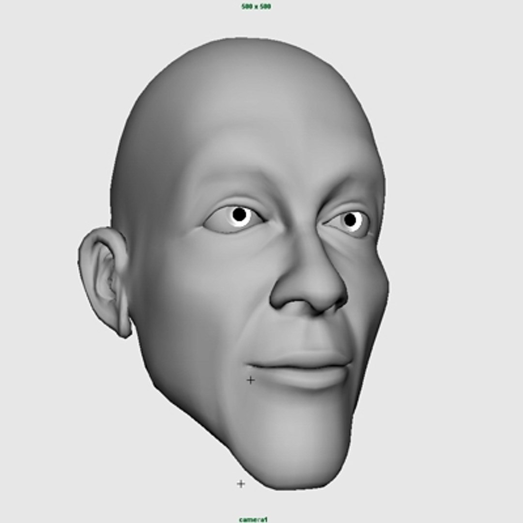Clown Head Rigged 3d Model