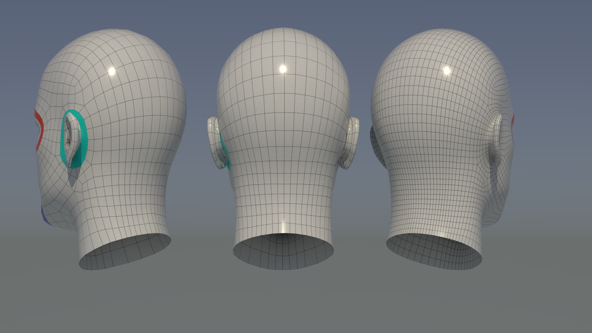 Base Male Head 3D Model - TurboSquid 1903711