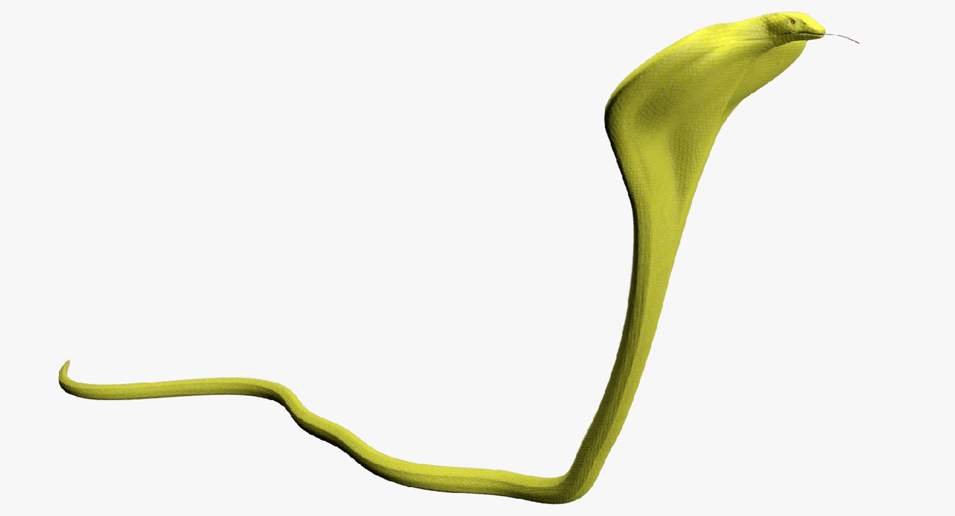 3D Snake - TurboSquid 1393651