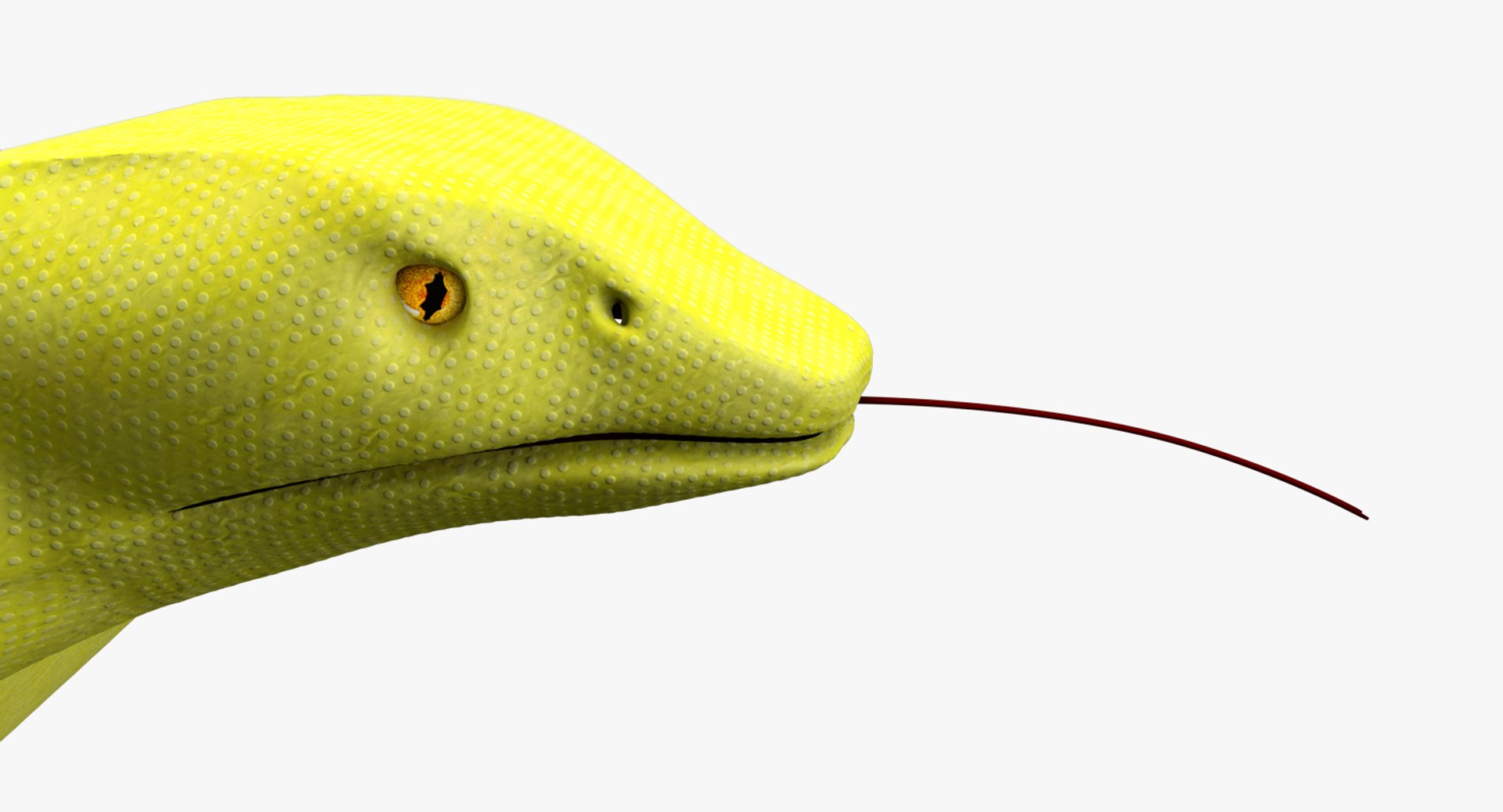 3D Snake - TurboSquid 1393651