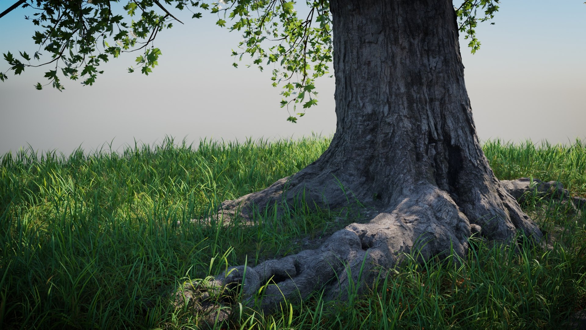 Tree On The Road - Complete Tree Package With Particles 3D Model ...