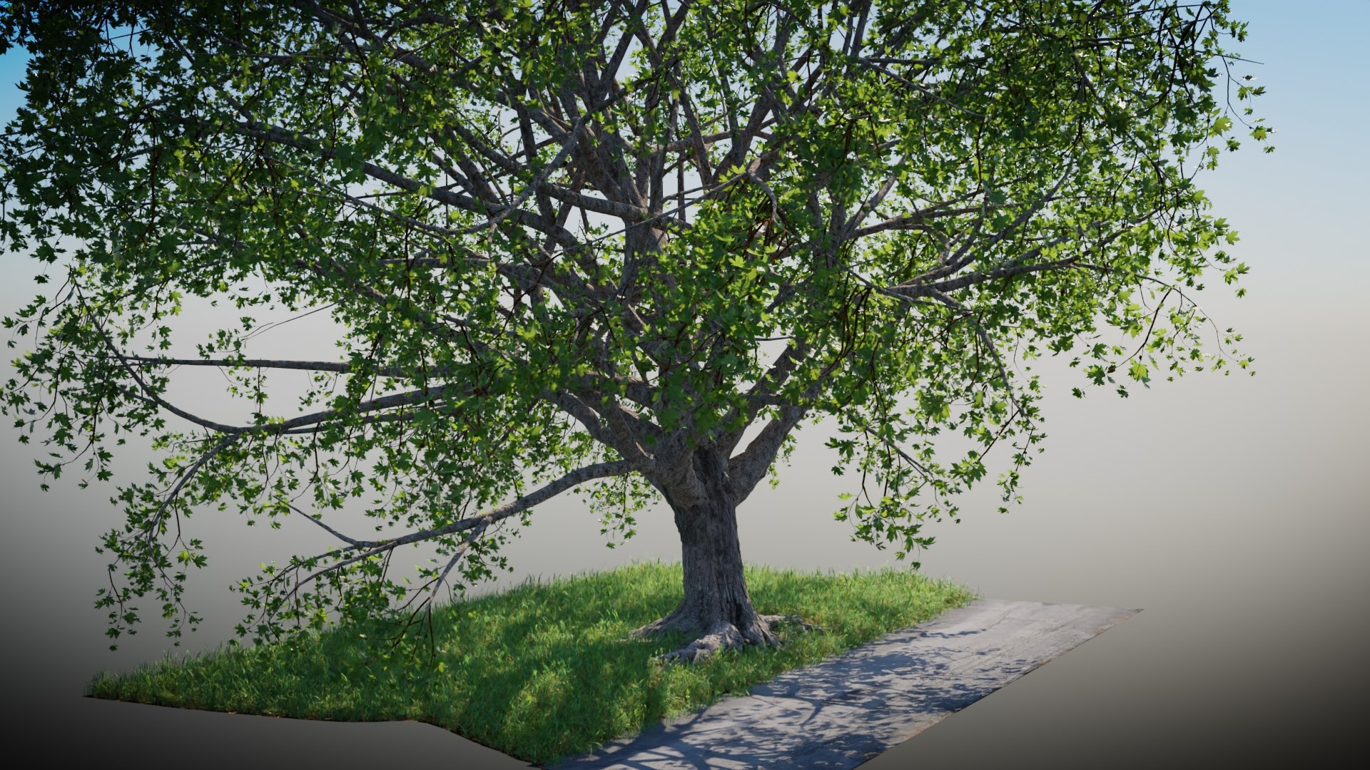 Tree On The Road - Complete Tree Package With Particles 3D Model ...