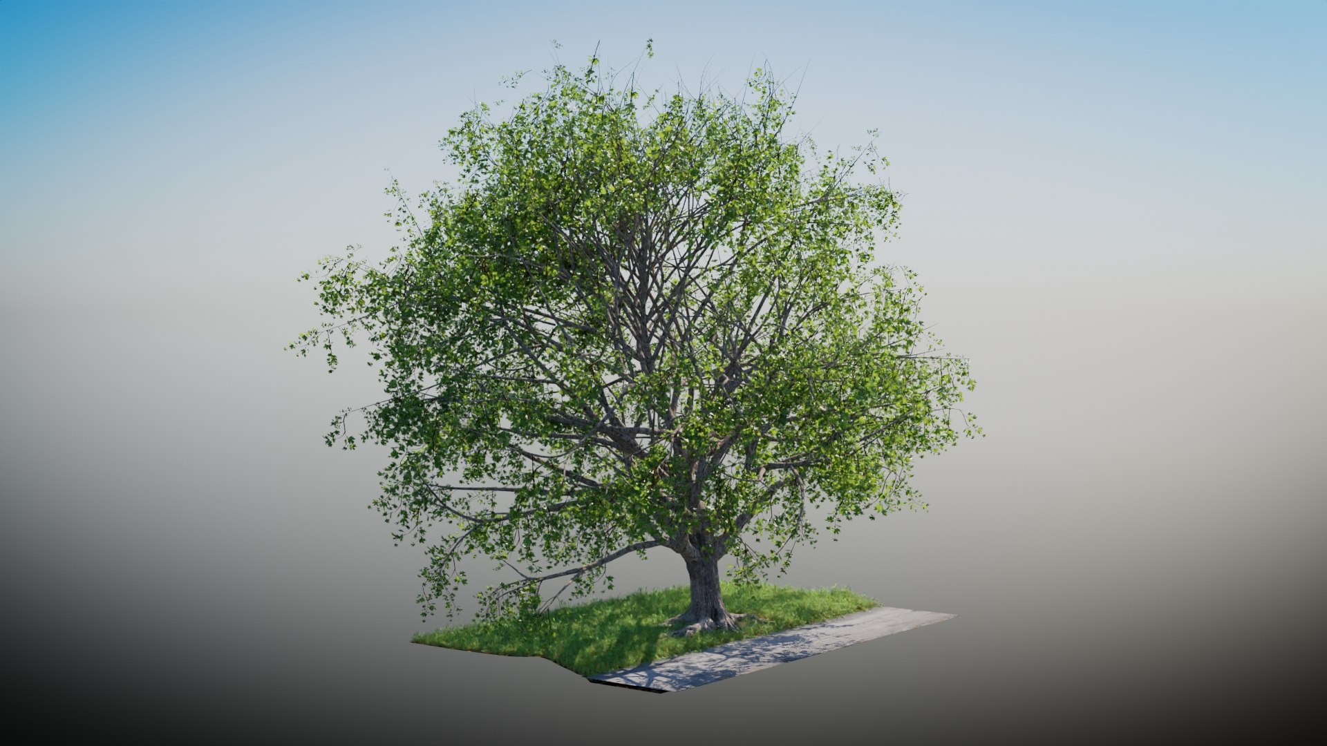 Tree On The Road - Complete Tree Package With Particles 3D Model ...