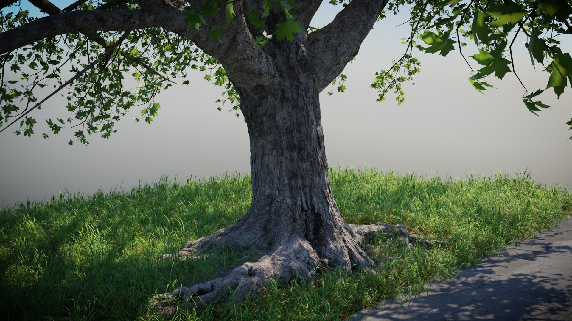 Tree On The Road - Complete Tree Package With Particles 3D Model ...