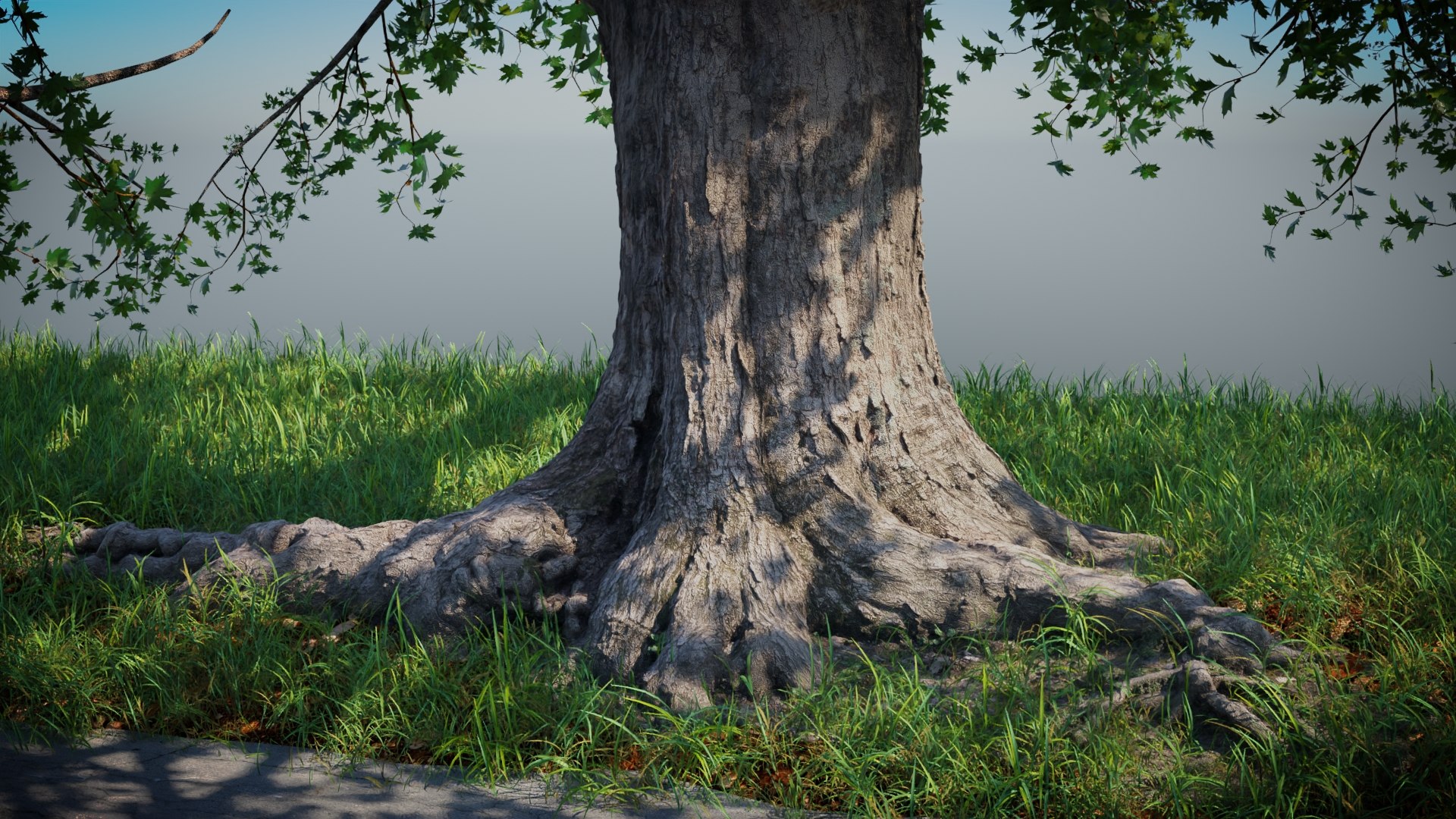 Tree On The Road - Complete Tree Package With Particles 3D Model ...