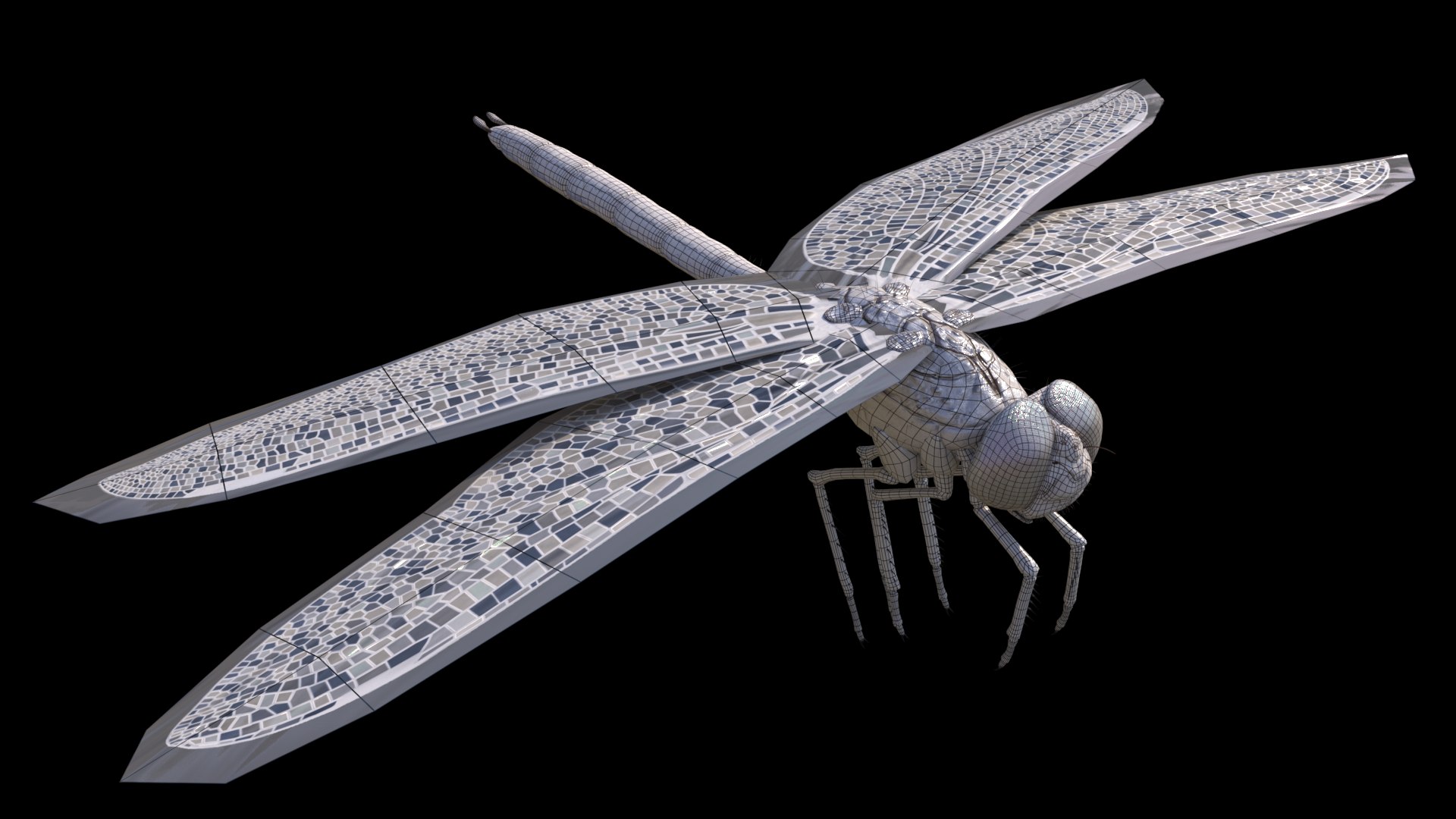 Anax imperator model - TurboSquid 1391202