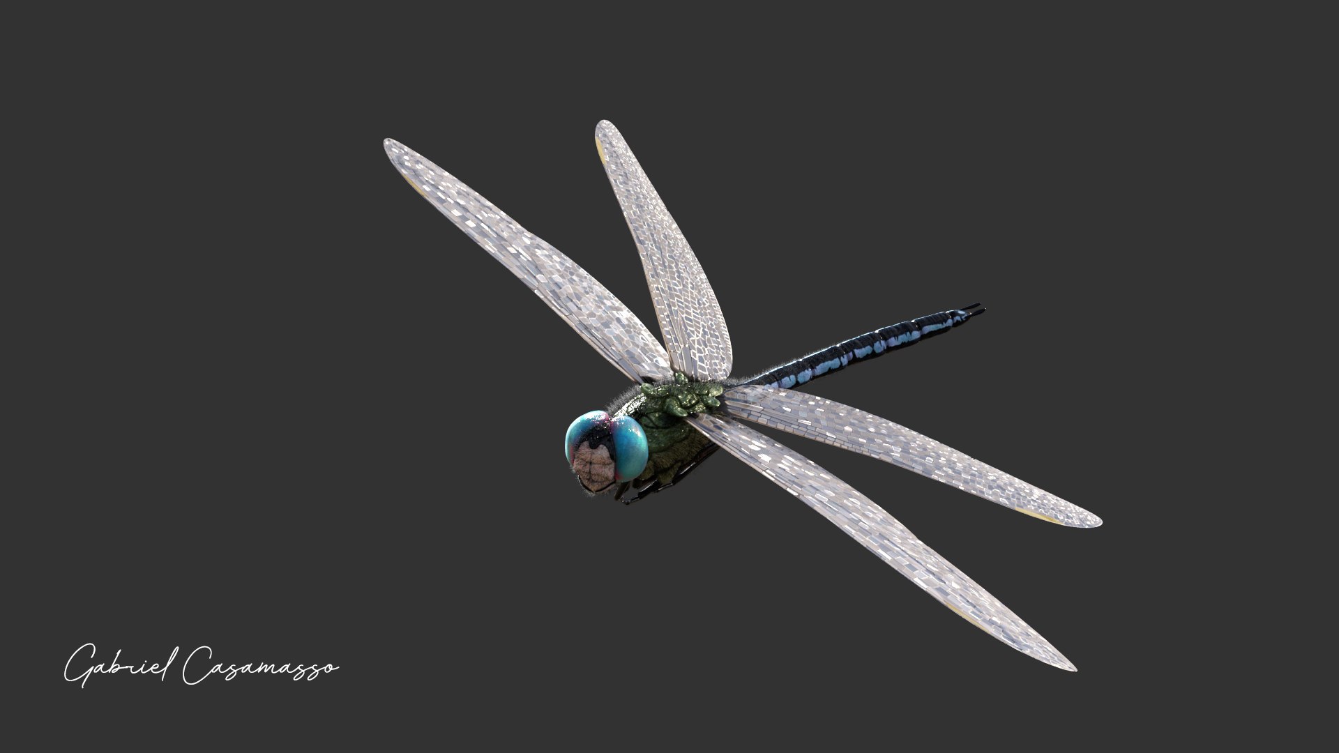 Anax imperator model - TurboSquid 1391202