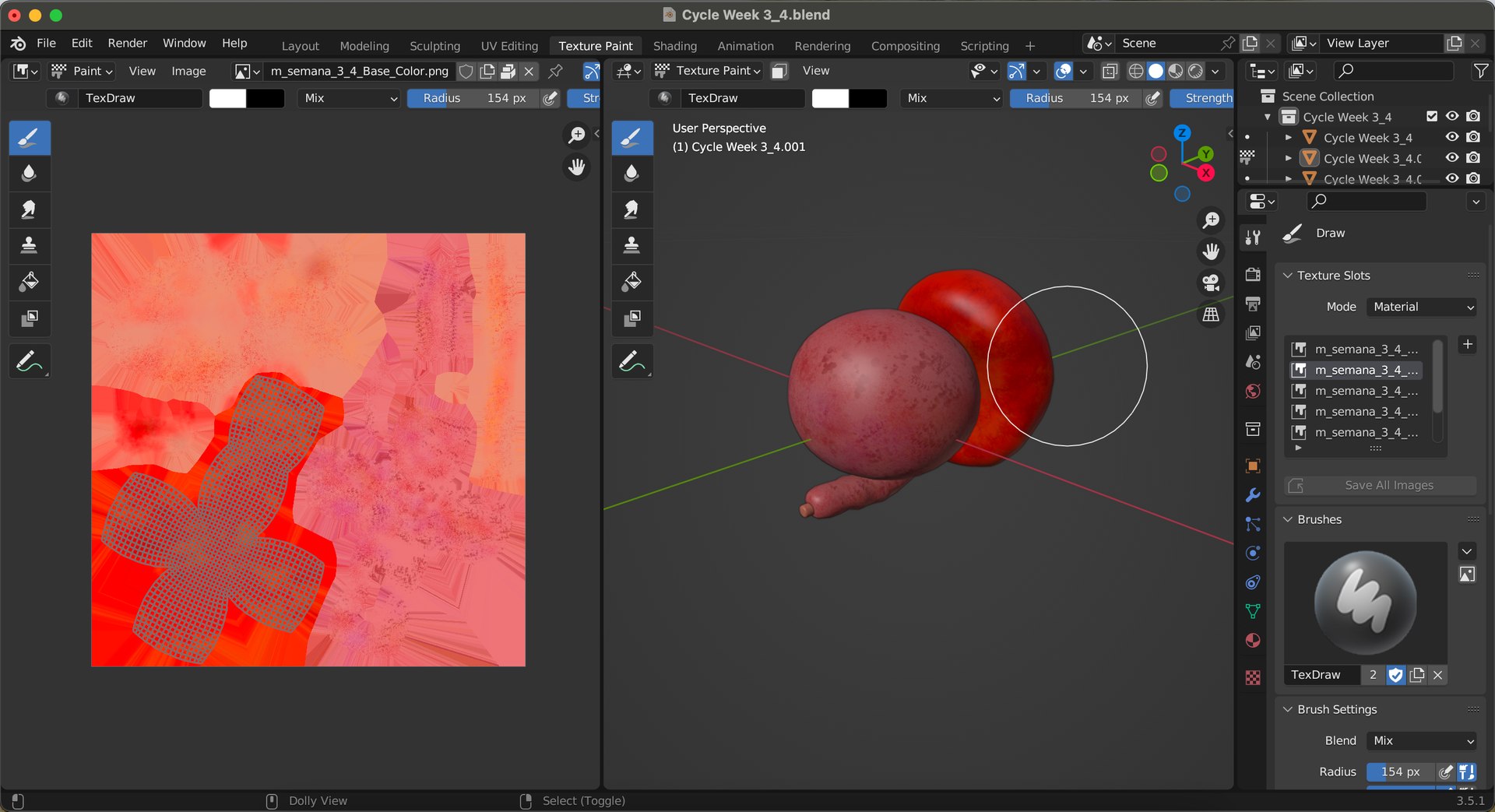 Cycle week 3-4 3D model - TurboSquid 2117631