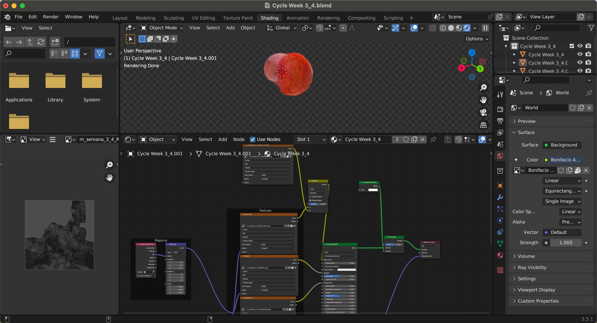 Cycle week 3-4 3D model - TurboSquid 2117631