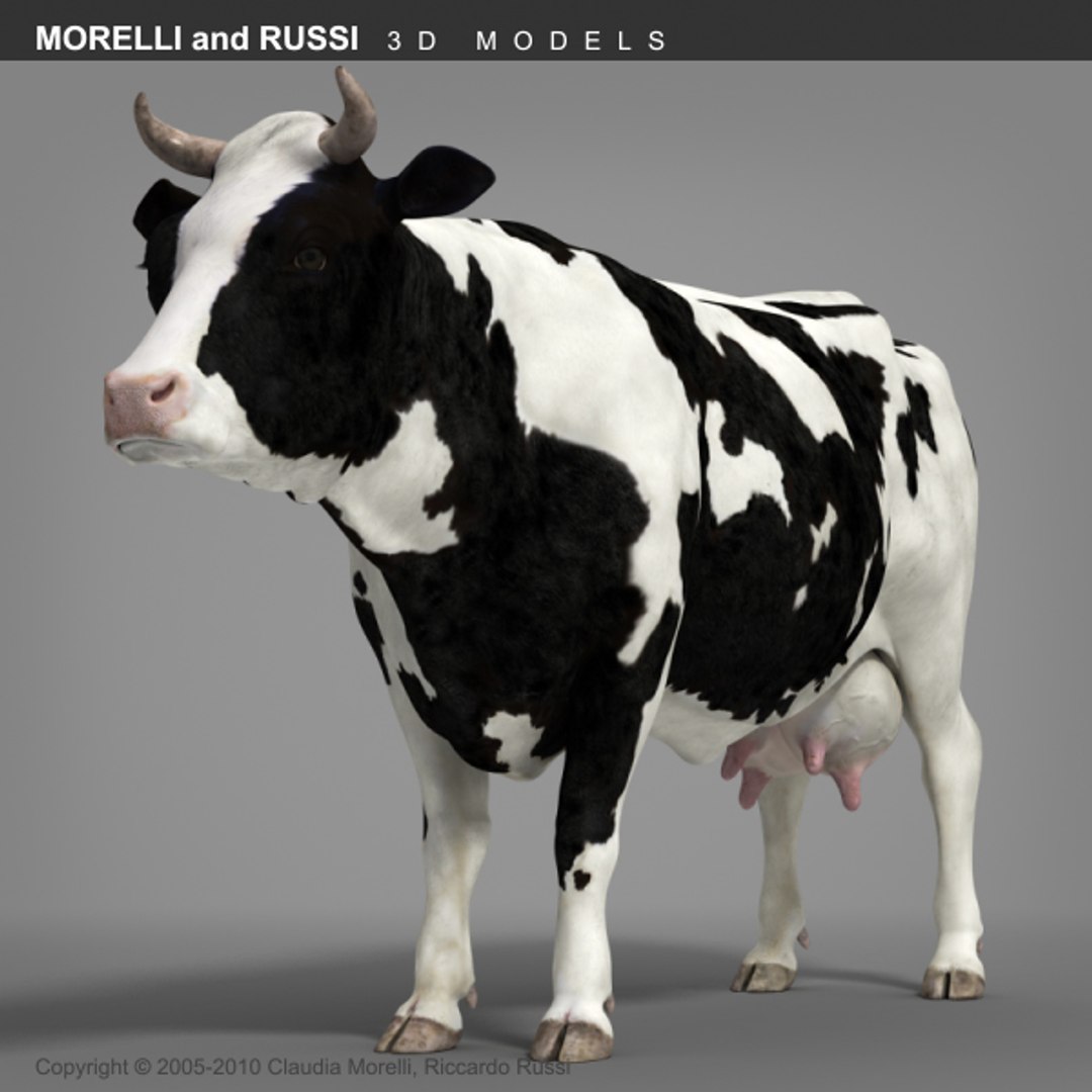morelli cow 3d obj