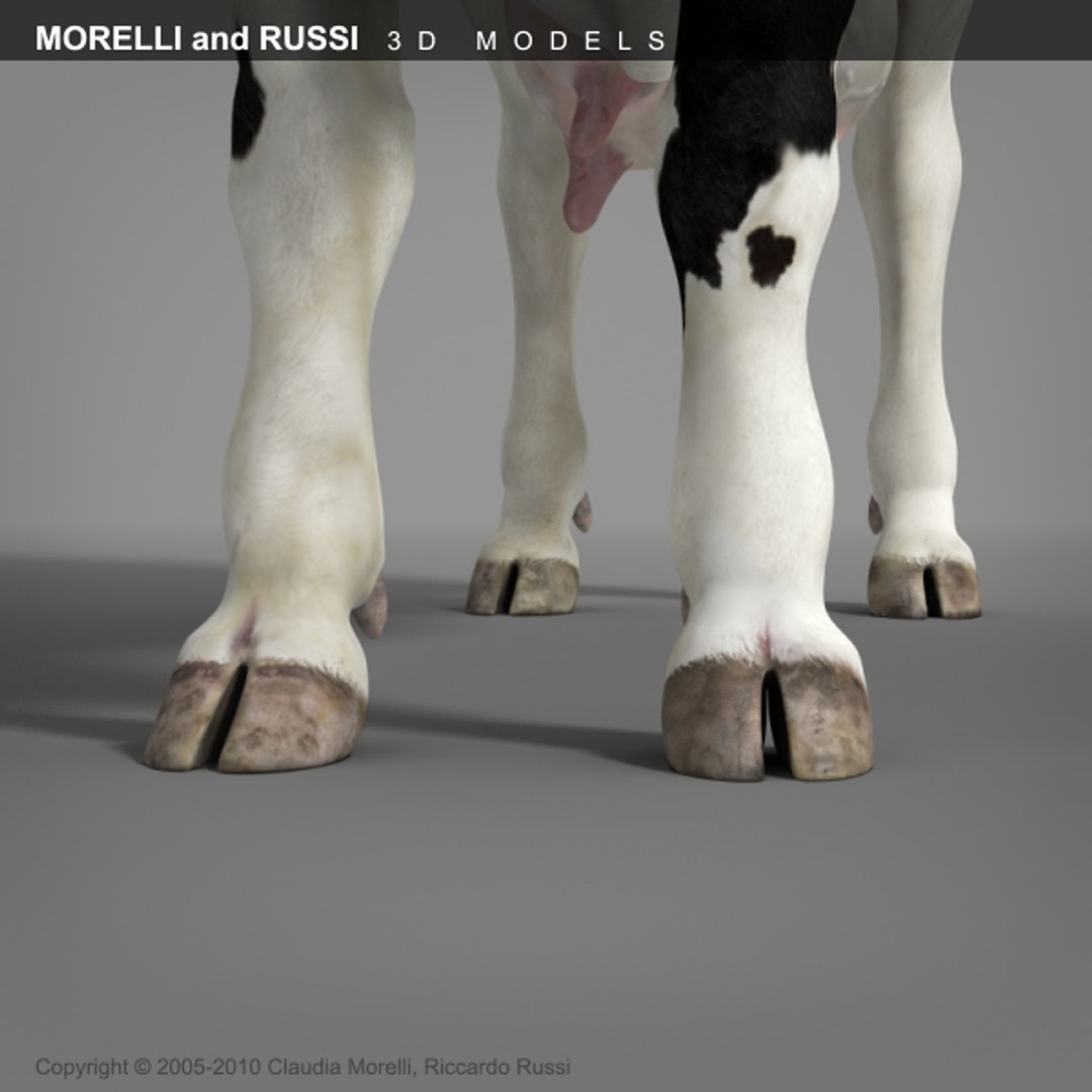 morelli cow 3d obj