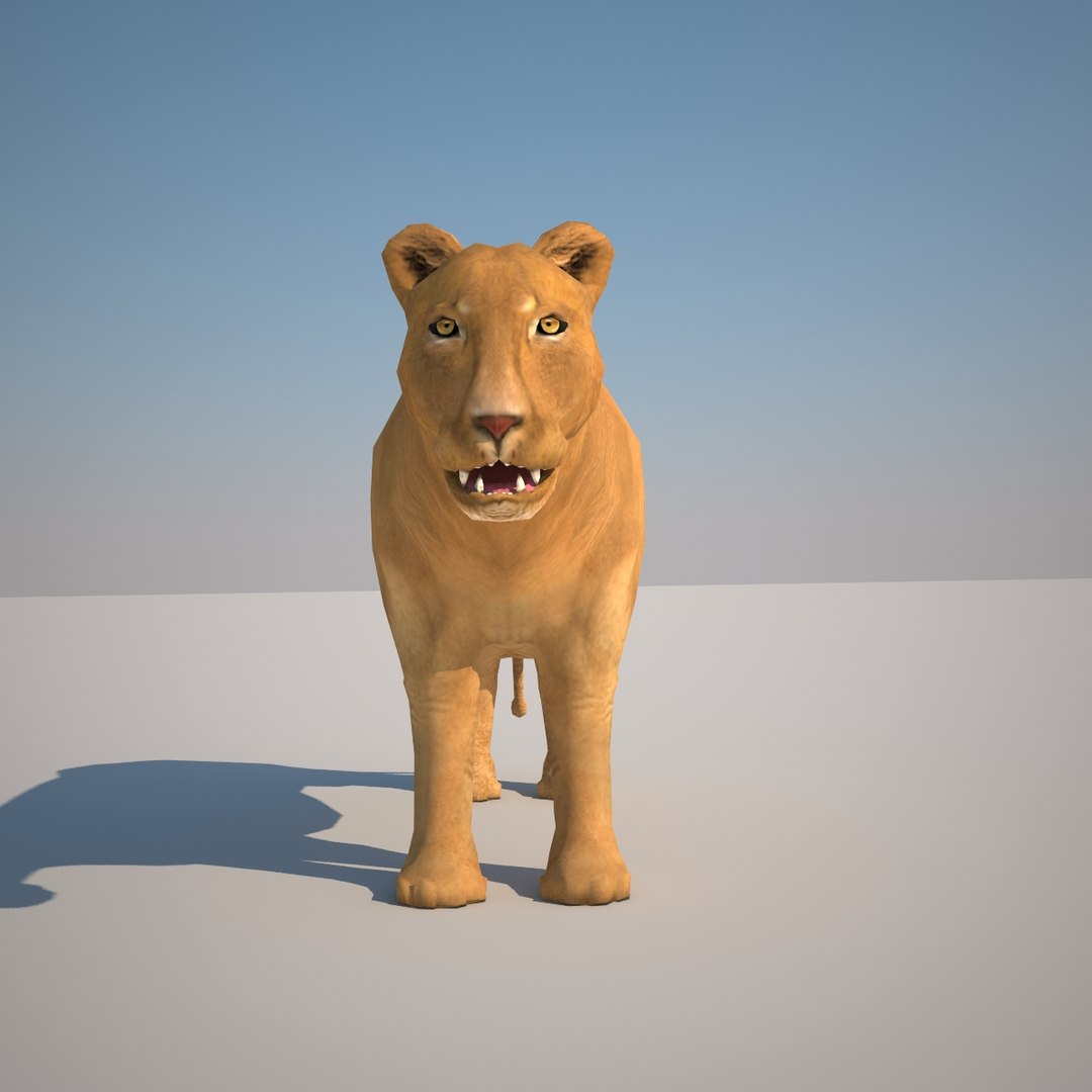 3d Lion Model