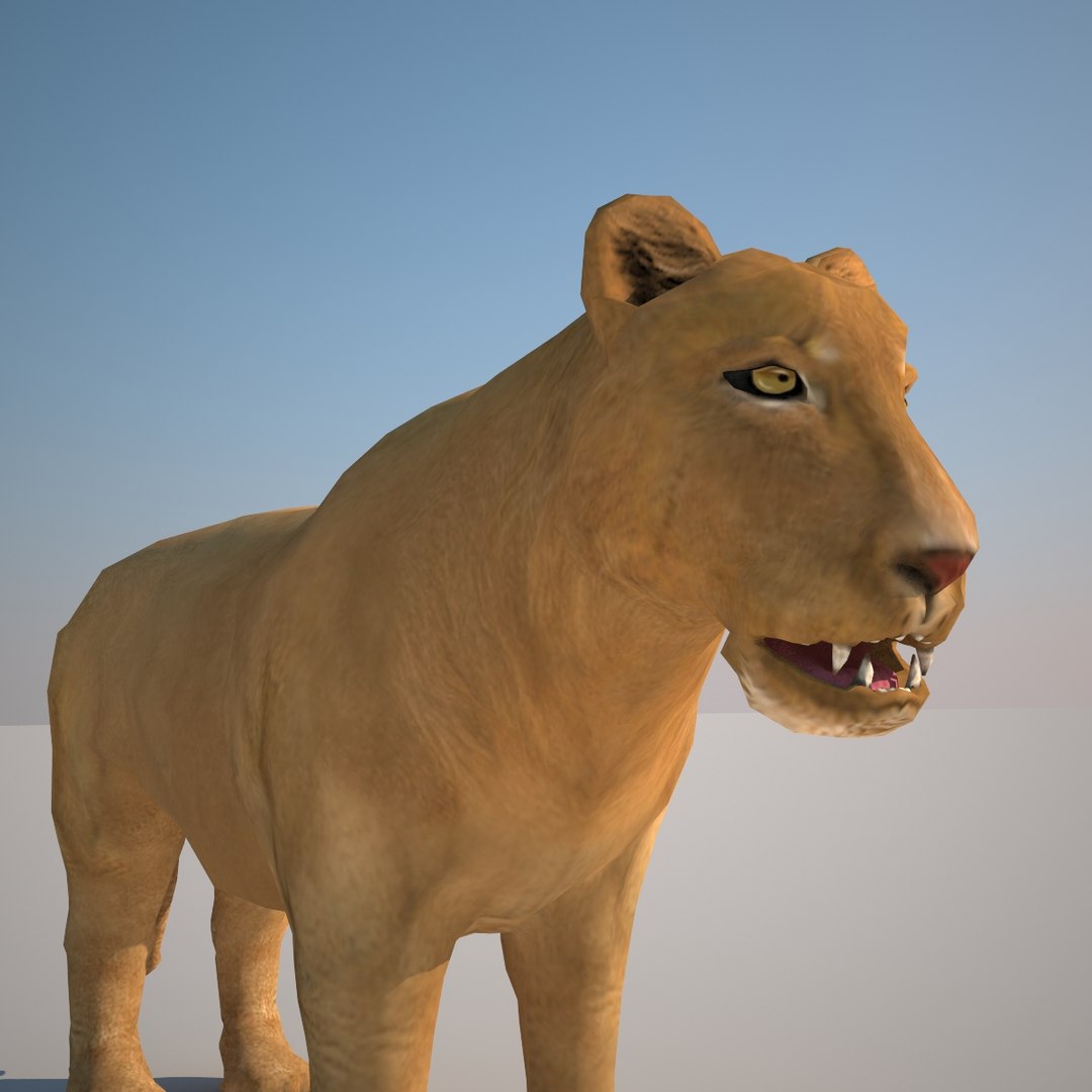 3d Lion Model