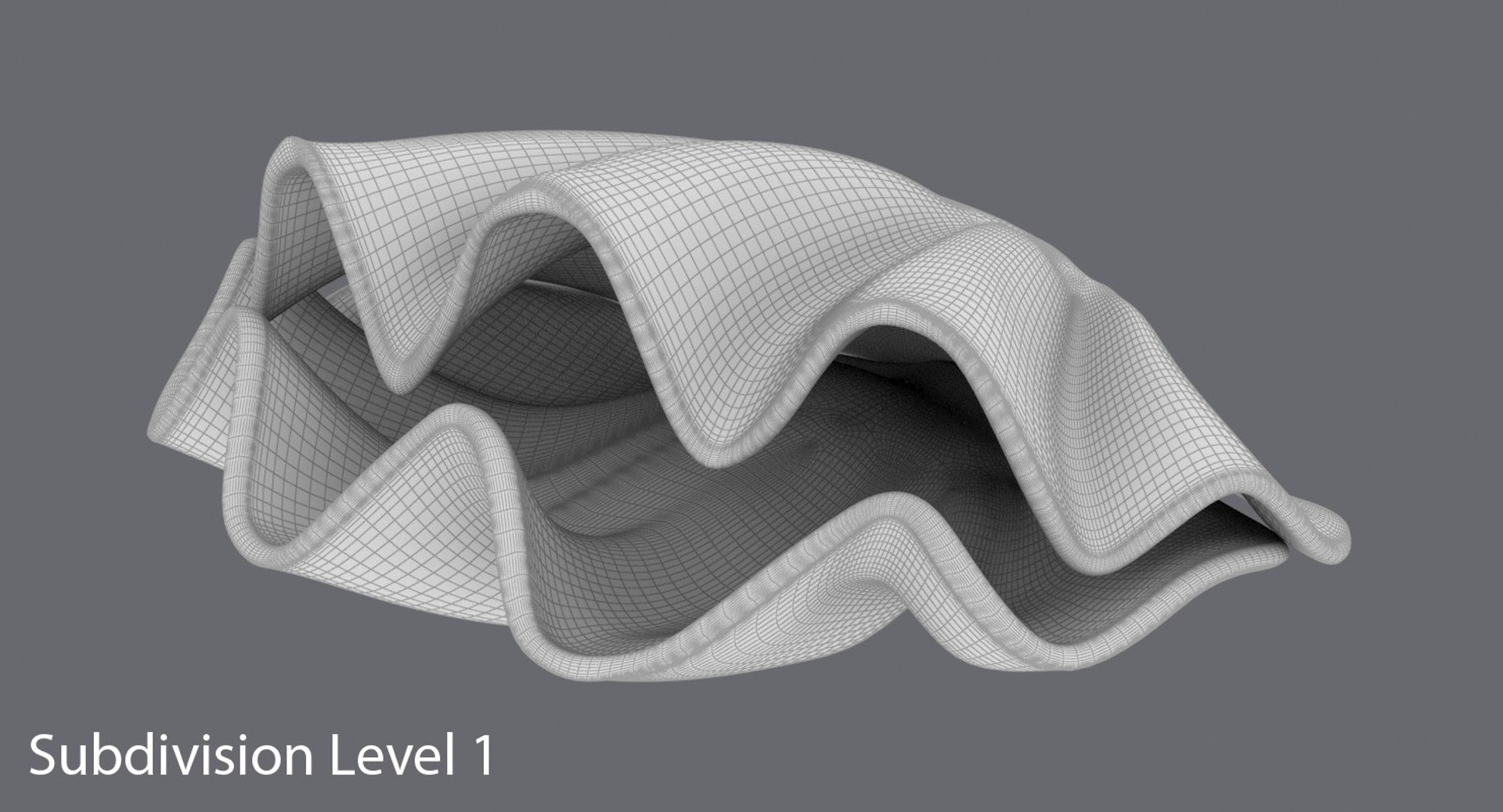3D Clam-shells---shell-03 Model - TurboSquid 1156154